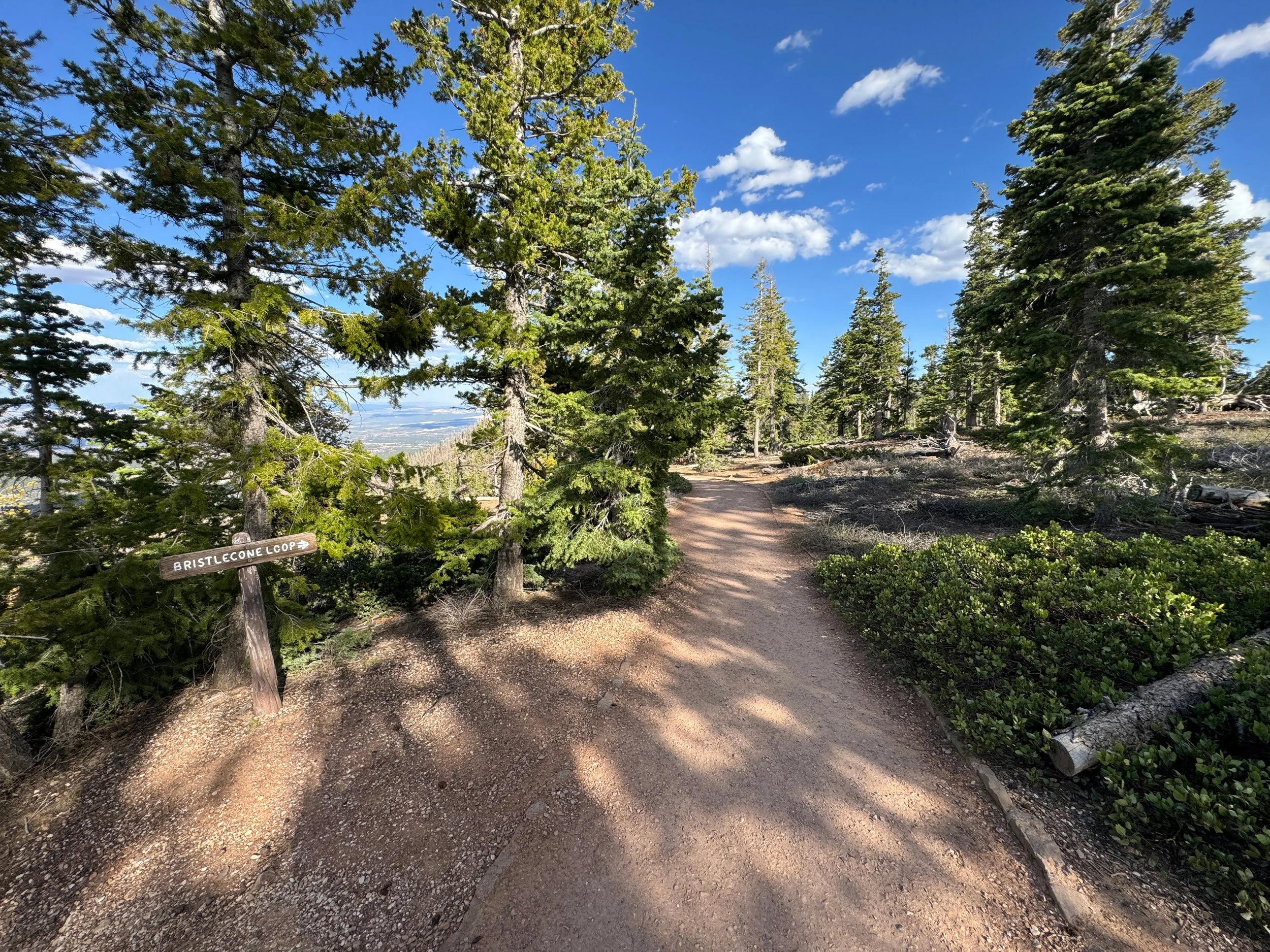 Hiking the Bristlecone Loop Trail in Bryce Canyon National Park — noahawaii