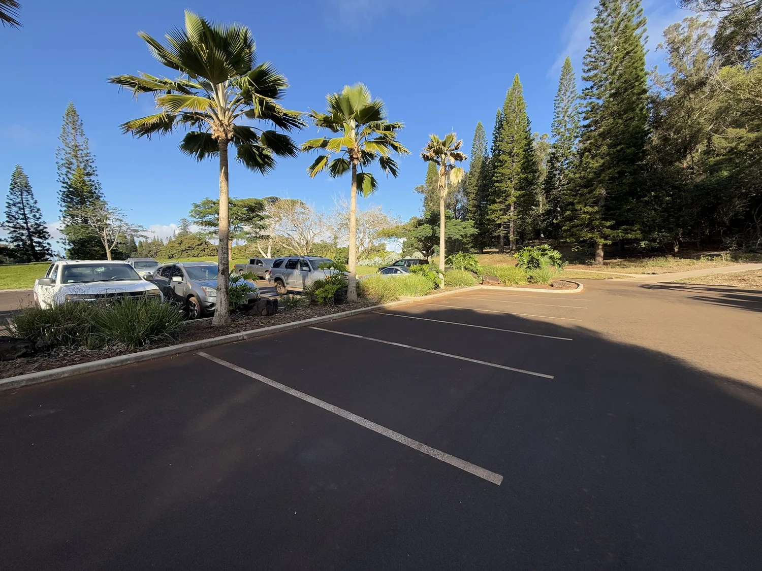 Hiking the Koloiki Ridge-Kaiholena Ridge Loop Trail on Lānaʻi, Hawaiʻi ...