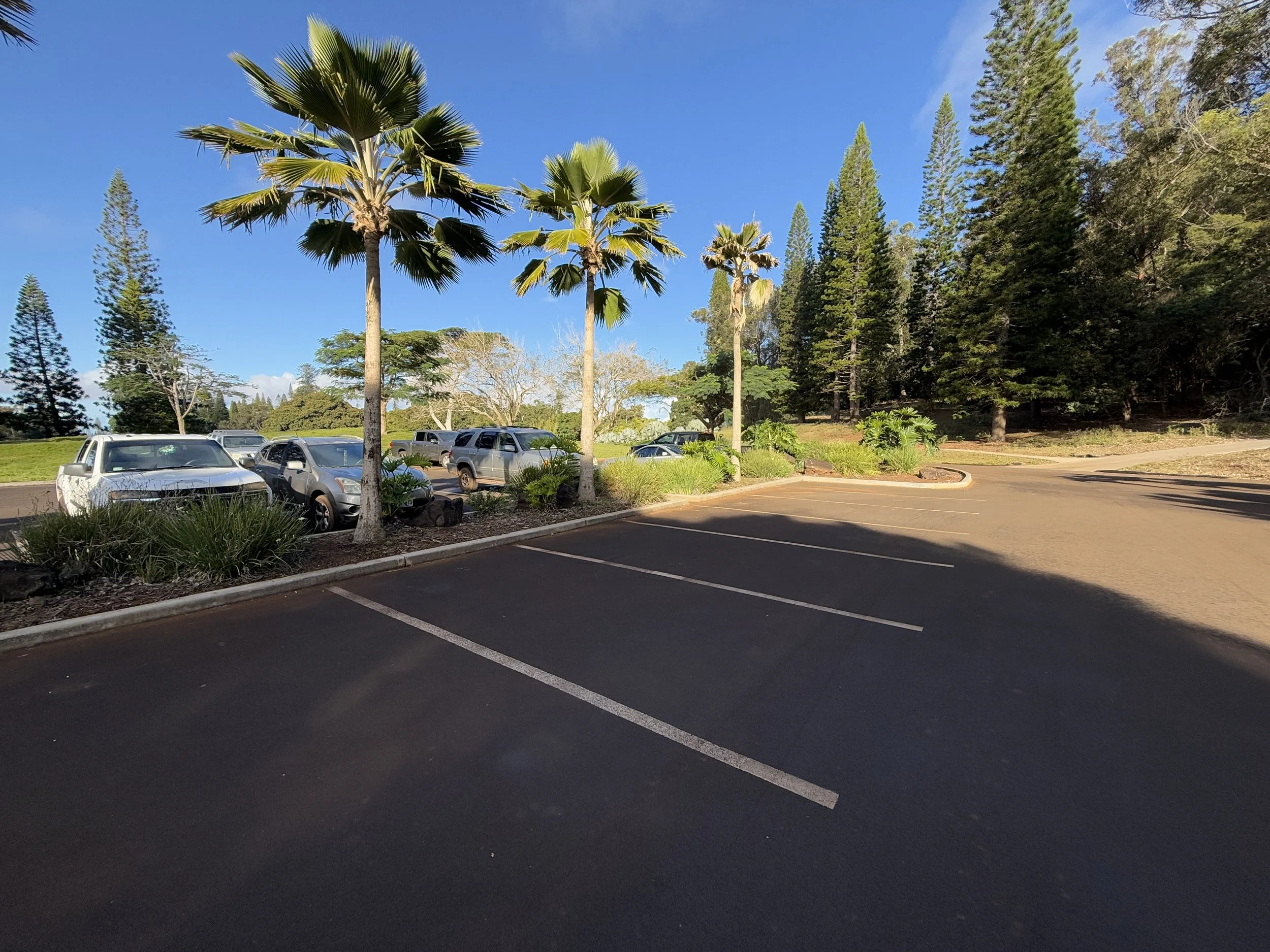 Hiking the Koloiki Ridge-Kaiholena Ridge Loop Trail on Lānaʻi, Hawaiʻi ...