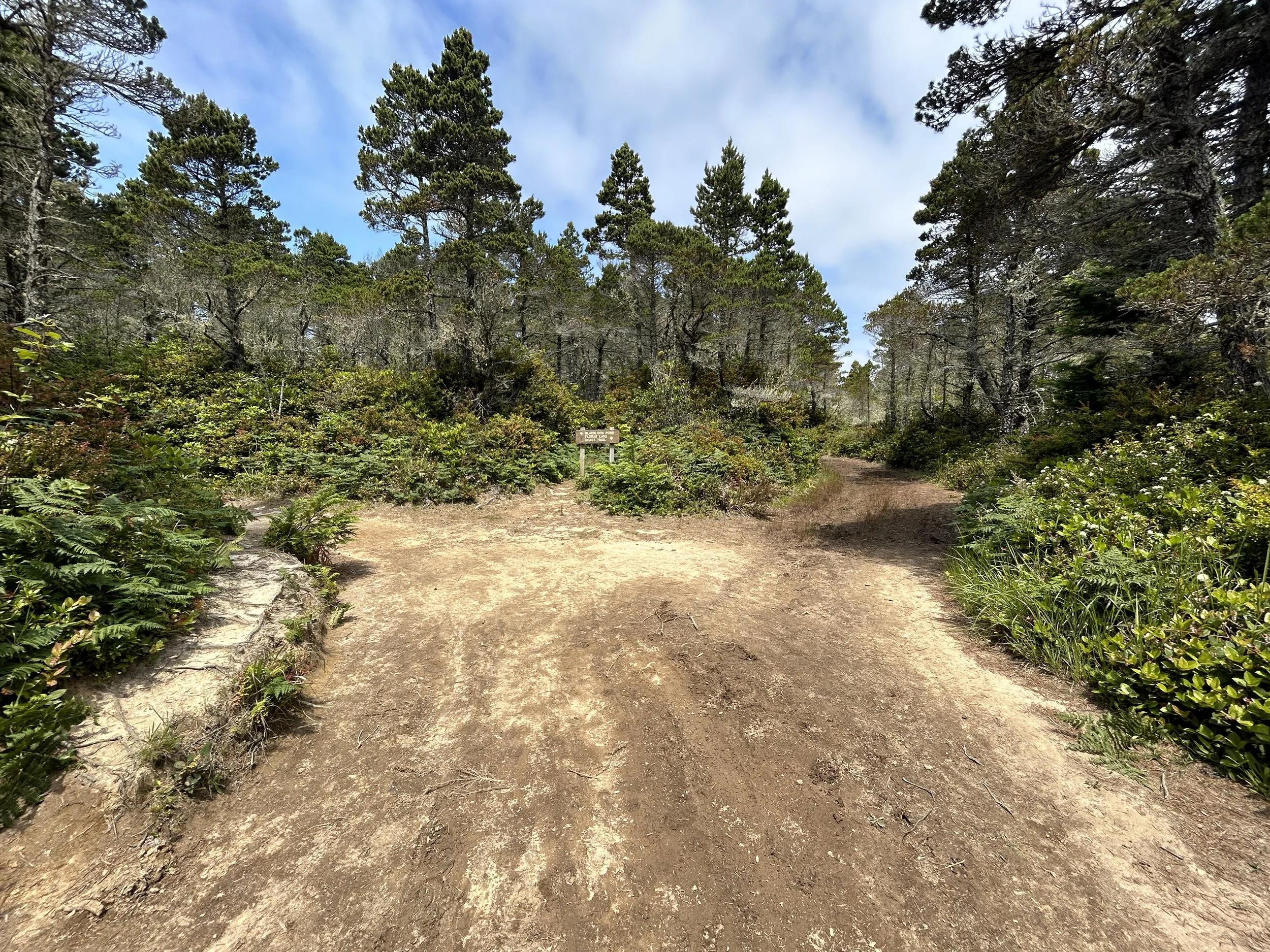 Hiking the Blacklock Point Sea Cliffs Trail on the Oregon Coast — noahawaii