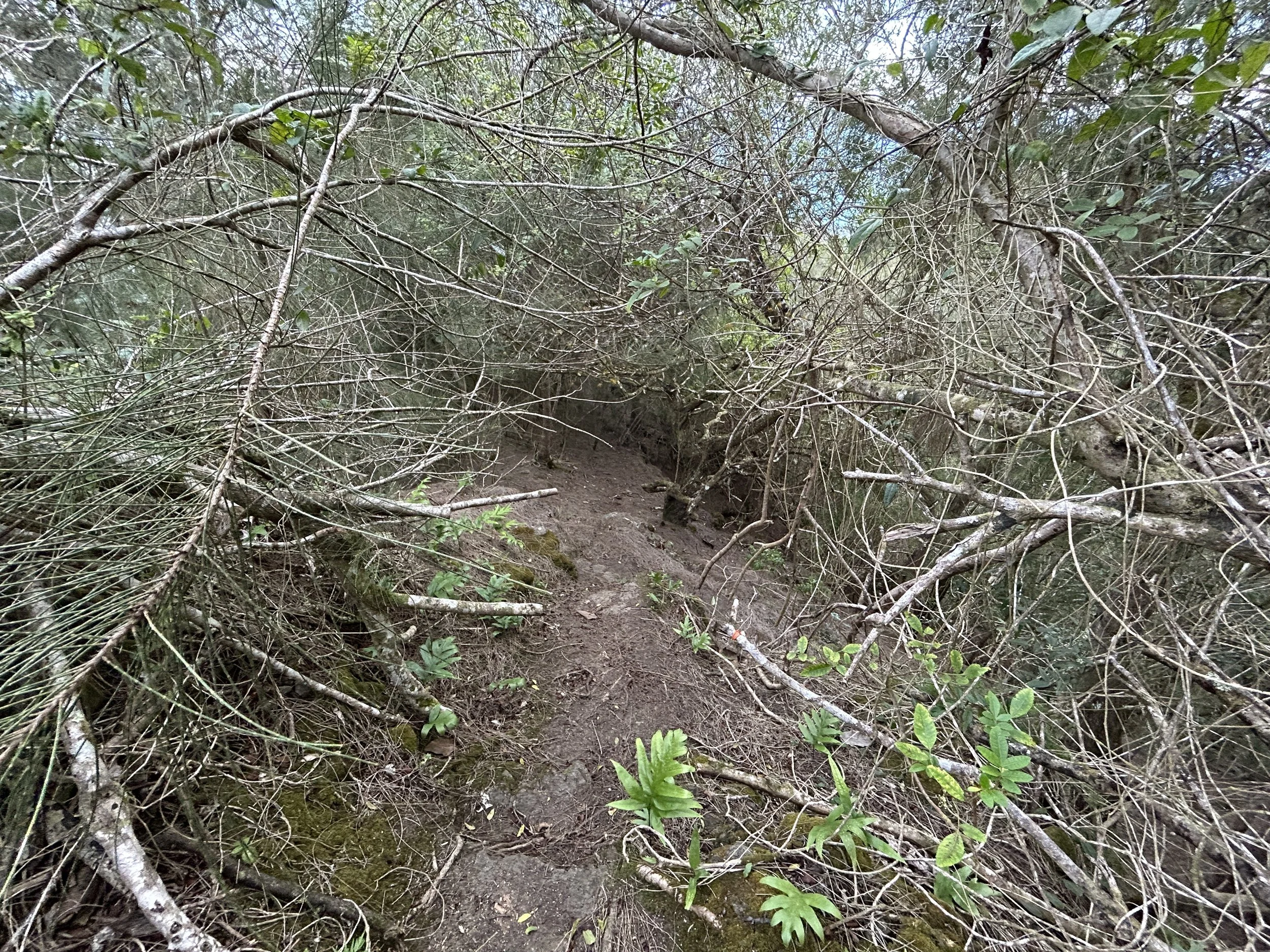 Hiking the Pyramid Rock Loop Trail on Oʻahu — noahawaii
