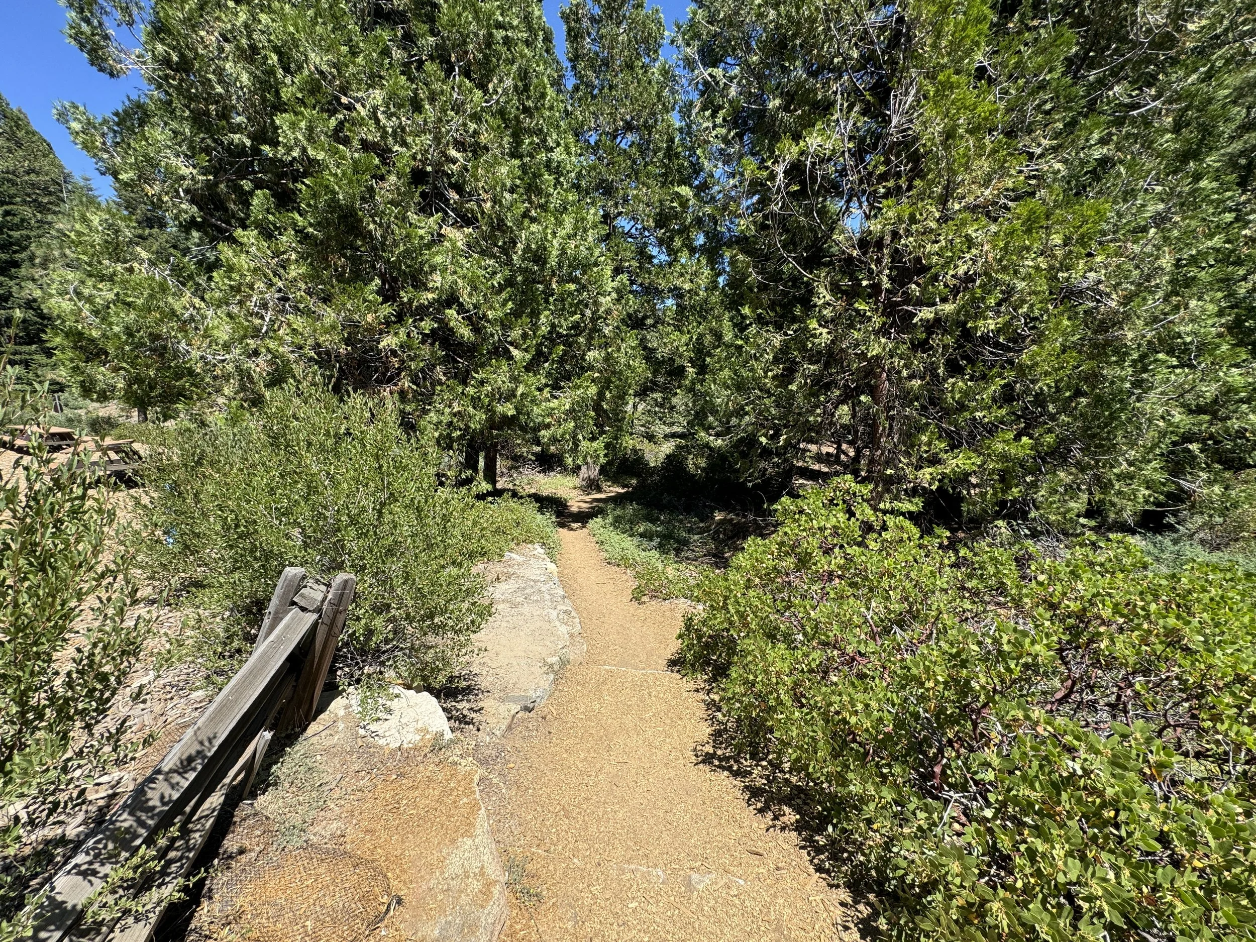 Hiking the Big Stump Loop Trail in Kings Canyon National Park — noahawaii