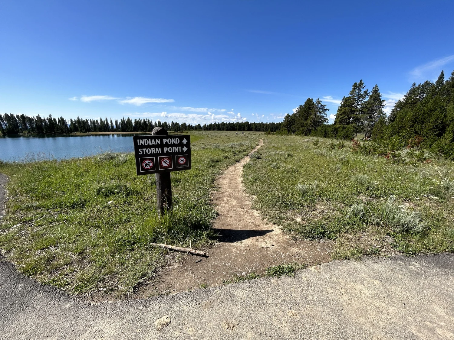 Hiking the Storm Point Trail in Yellowstone National Park — noahawaii