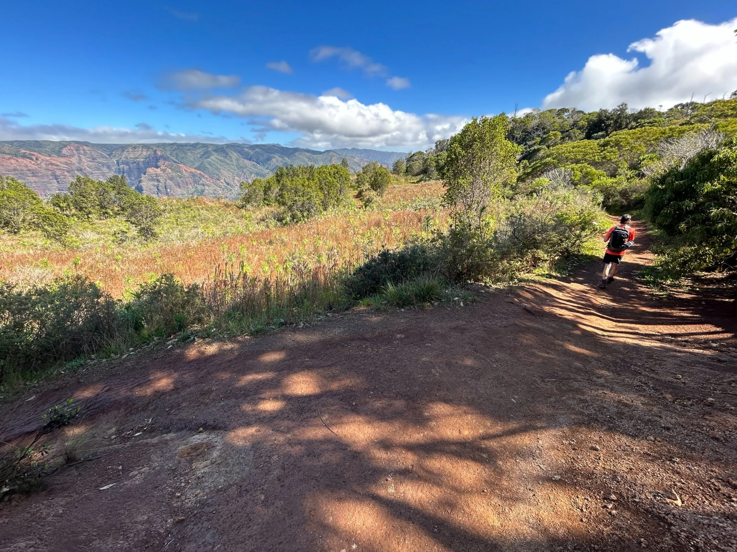 Hiking the Iliau Nature Loop Trail in the Waimea Canyon on Kauaʻi ...