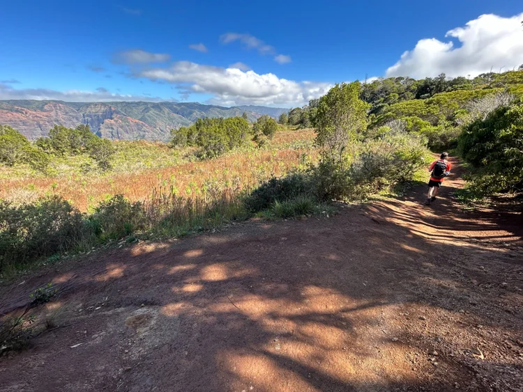 Hiking the Iliau Nature Loop Trail in the Waimea Canyon on Kauaʻi ...