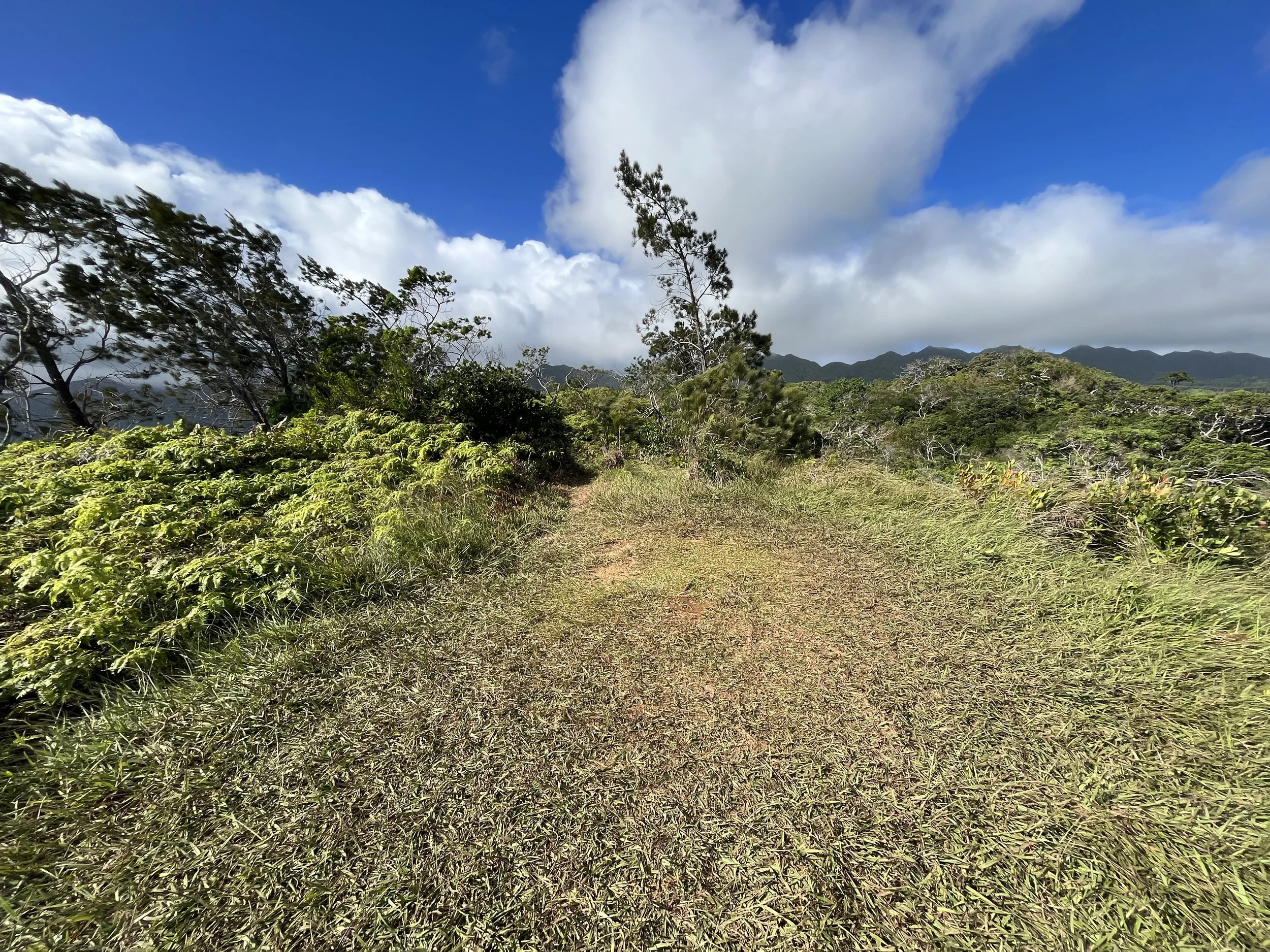 Hiking the Mauʻumae Ridge Trail to Puʻu Lanipō on Oʻahu, Hawaiʻi ...