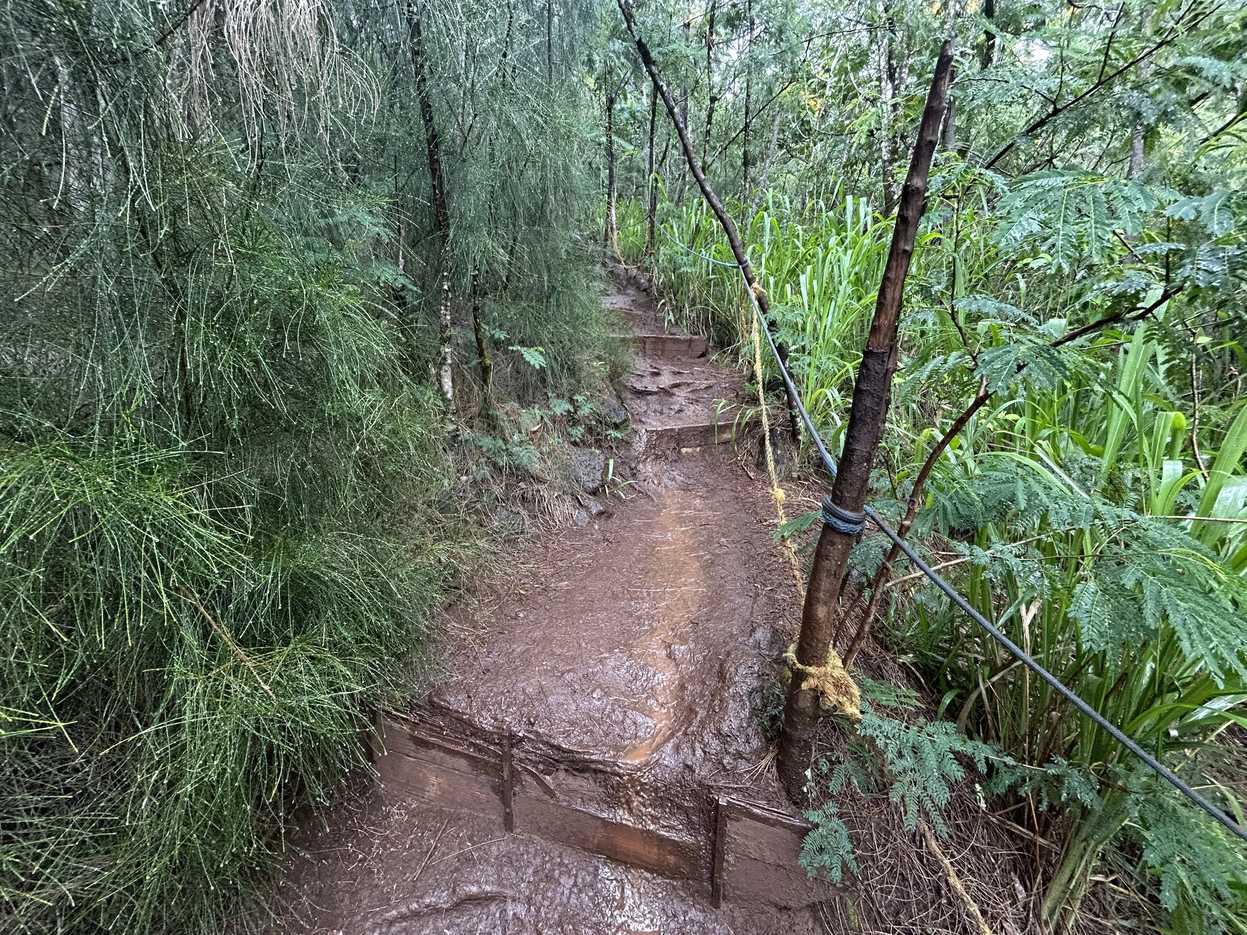 Hiking the ʻEhukai Pillbox Trail on Oʻahu — noahawaii