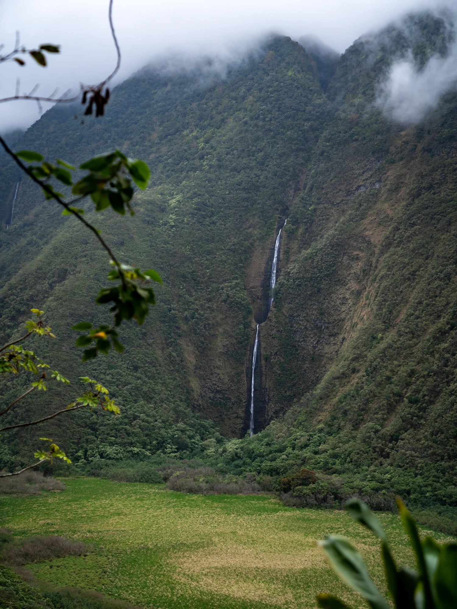 Hiking the Muliwai Trail to Waimanu Valley on the Big Island of Hawaiʻi ...