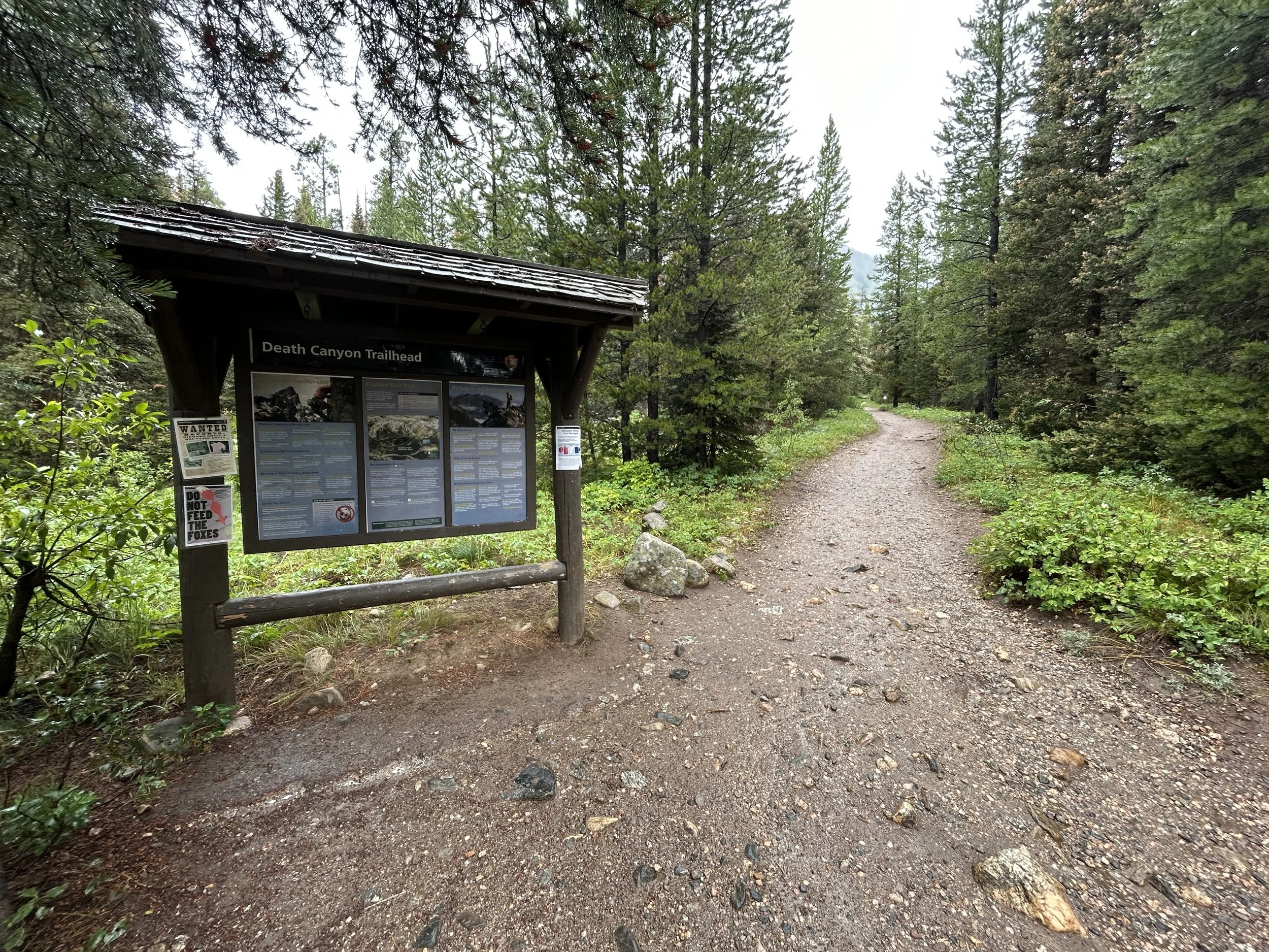Hiking the Phelps Lake Overlook Trail via Death Canyon in Grand Teton ...
