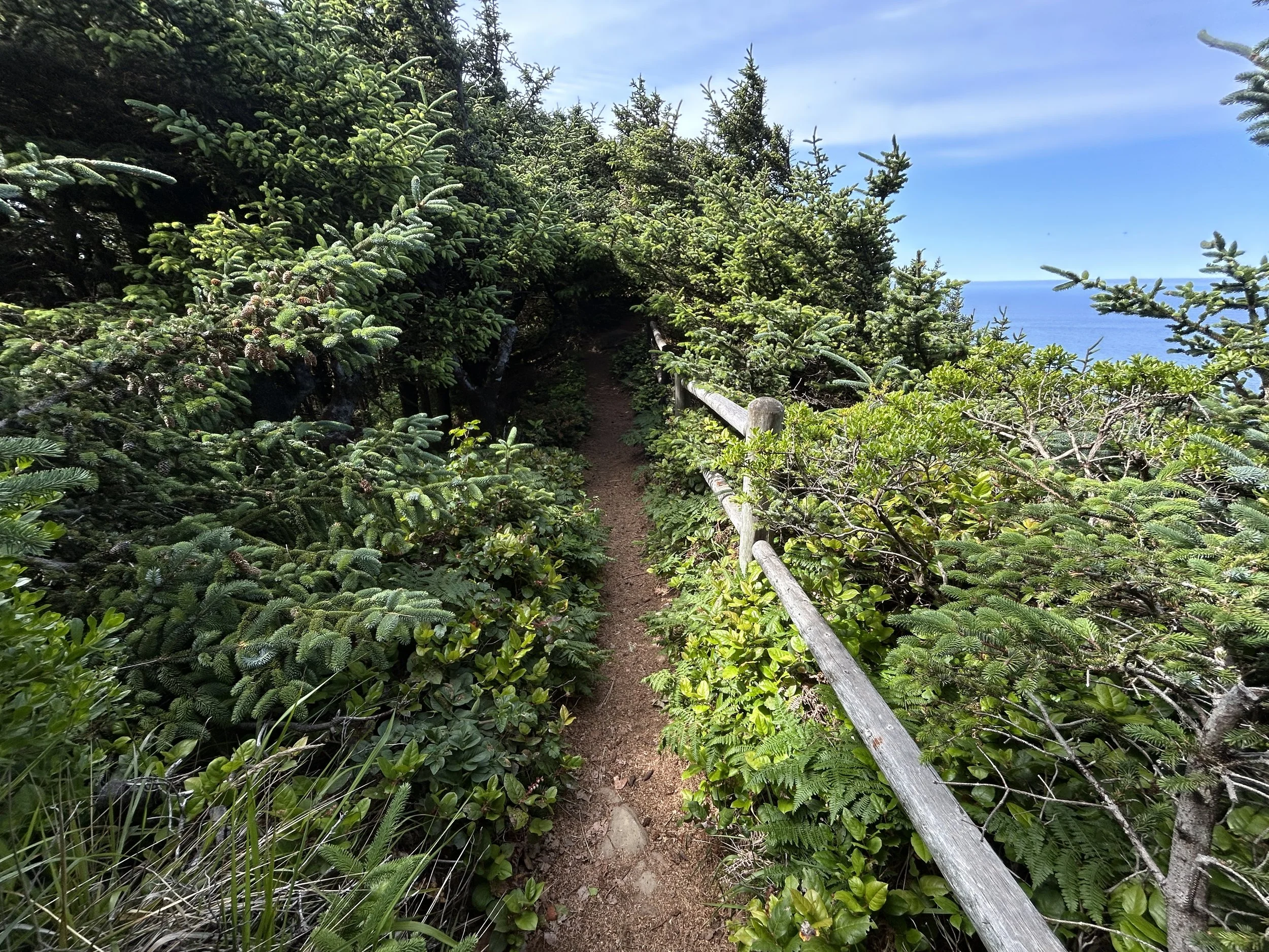 Hiking the Cape Sebastian Trail on the Oregon Coast — noahawaii