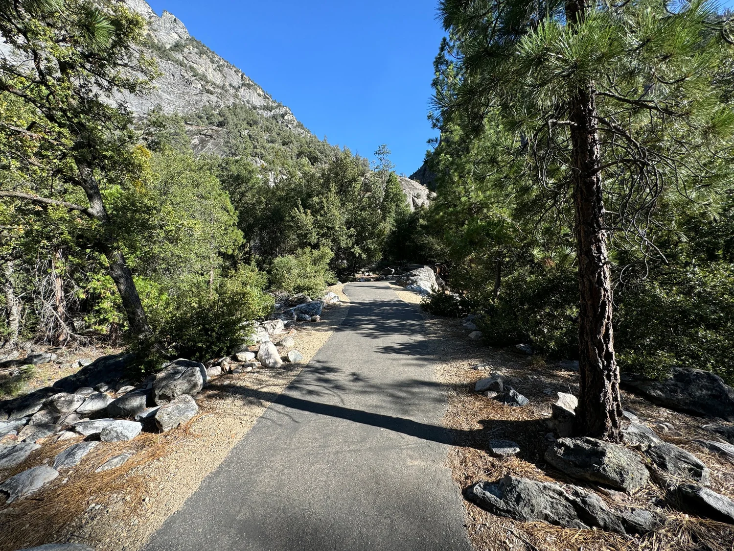 Hiking the Roaring River Falls Trail in Kings Canyon National Park ...