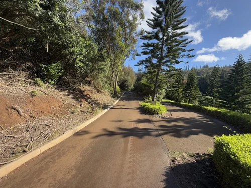 Hiking the Koloiki Ridge-Kaiholena Ridge Loop Trail on Lānaʻi, Hawaiʻi ...
