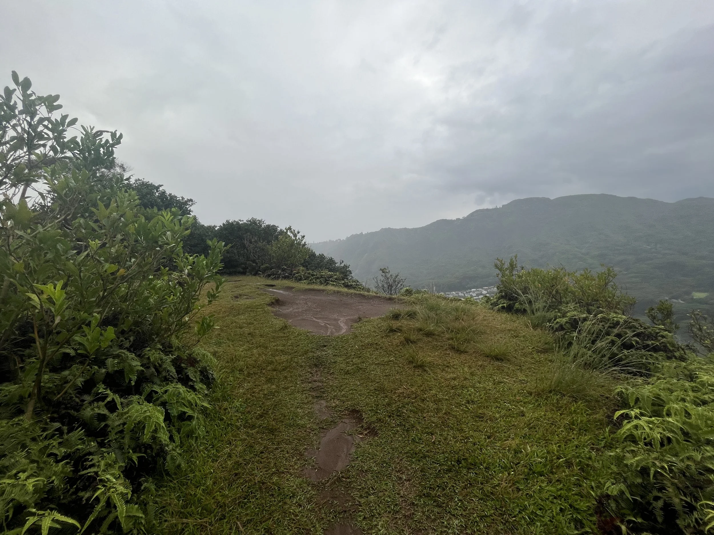 Hiking the Puʻu Pia Trail on Oʻahu — noahawaii