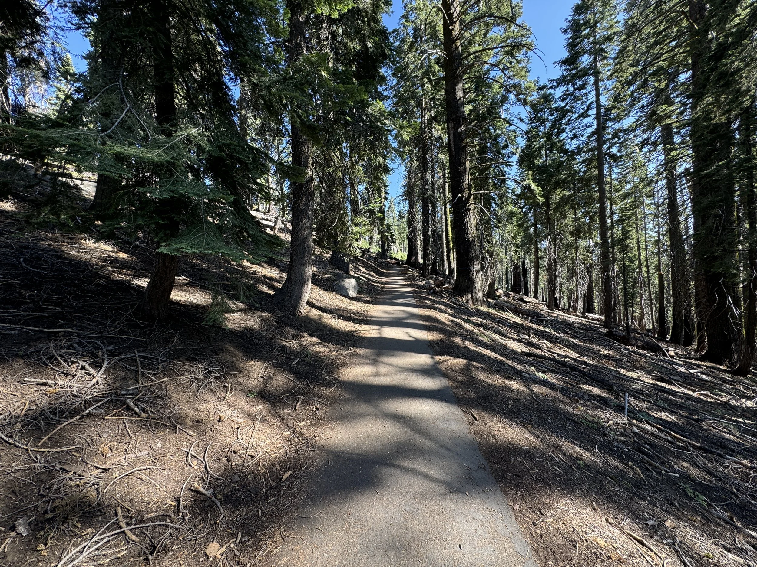Hiking the Park Ridge Trail in Kings Canyon National Park — noahawaii