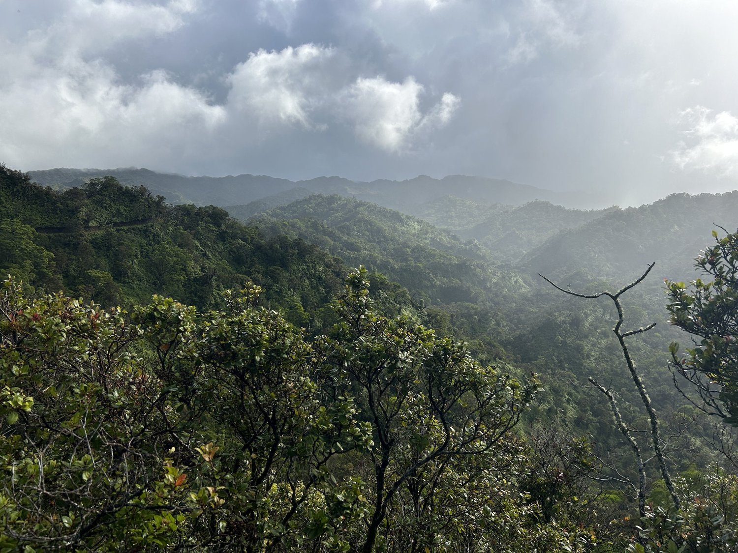 Hiking the Poamoho Trail on Oʻahu, Hawaiʻi — noahawaii