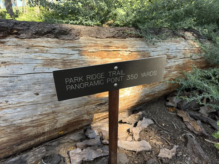 Hiking the Park Ridge Trail in Kings Canyon National Park — noahawaii