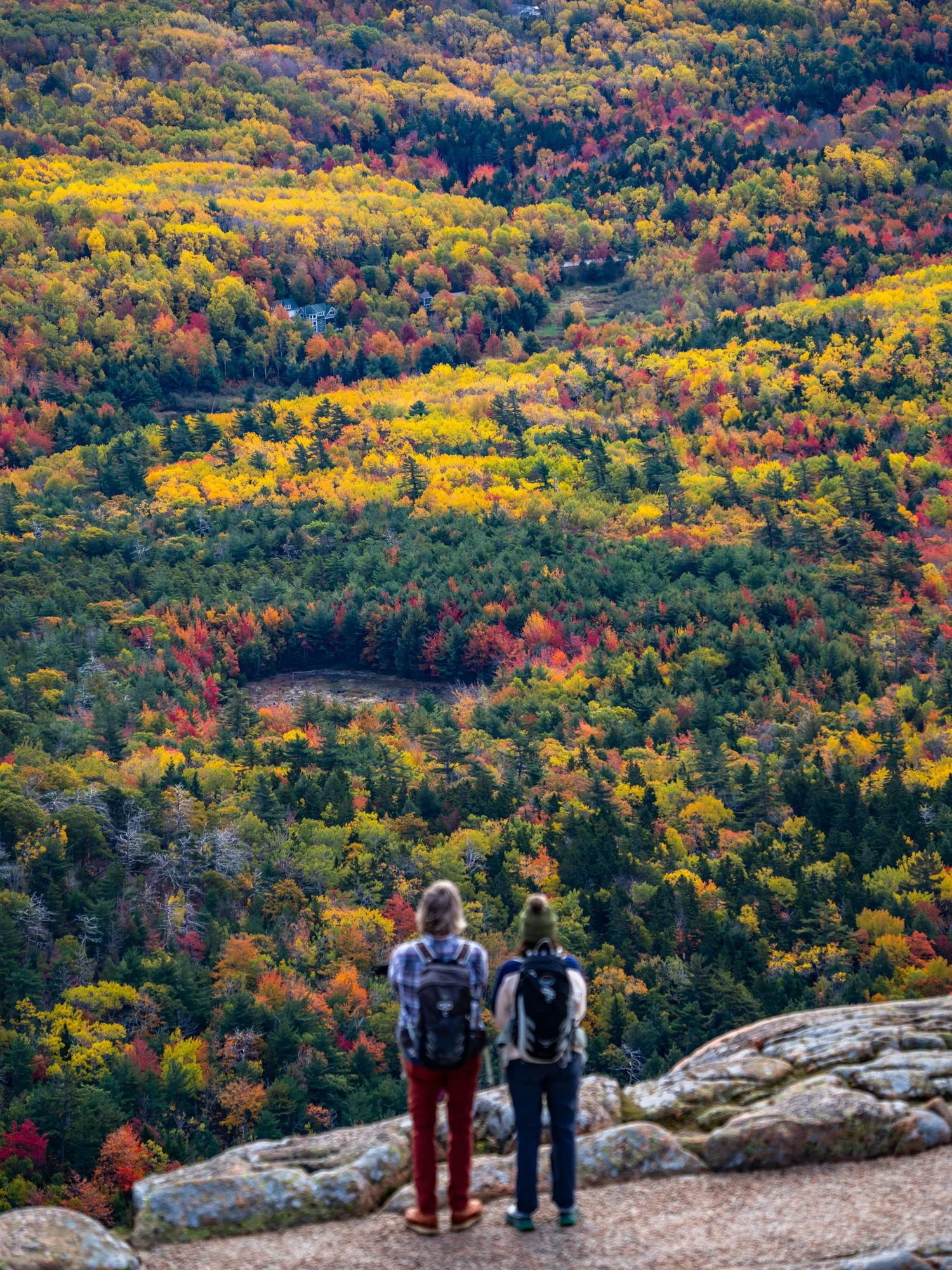 20 Best Things to Do in Acadia National Park — noahawaii