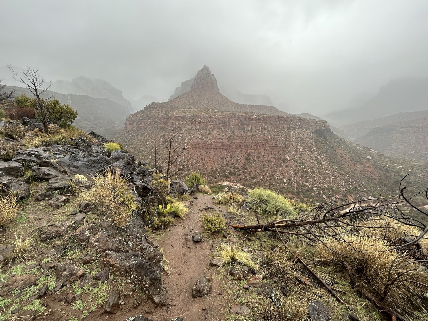 Hiking the Grapevine Trail to Left Fork Falls in Zion National Park ...