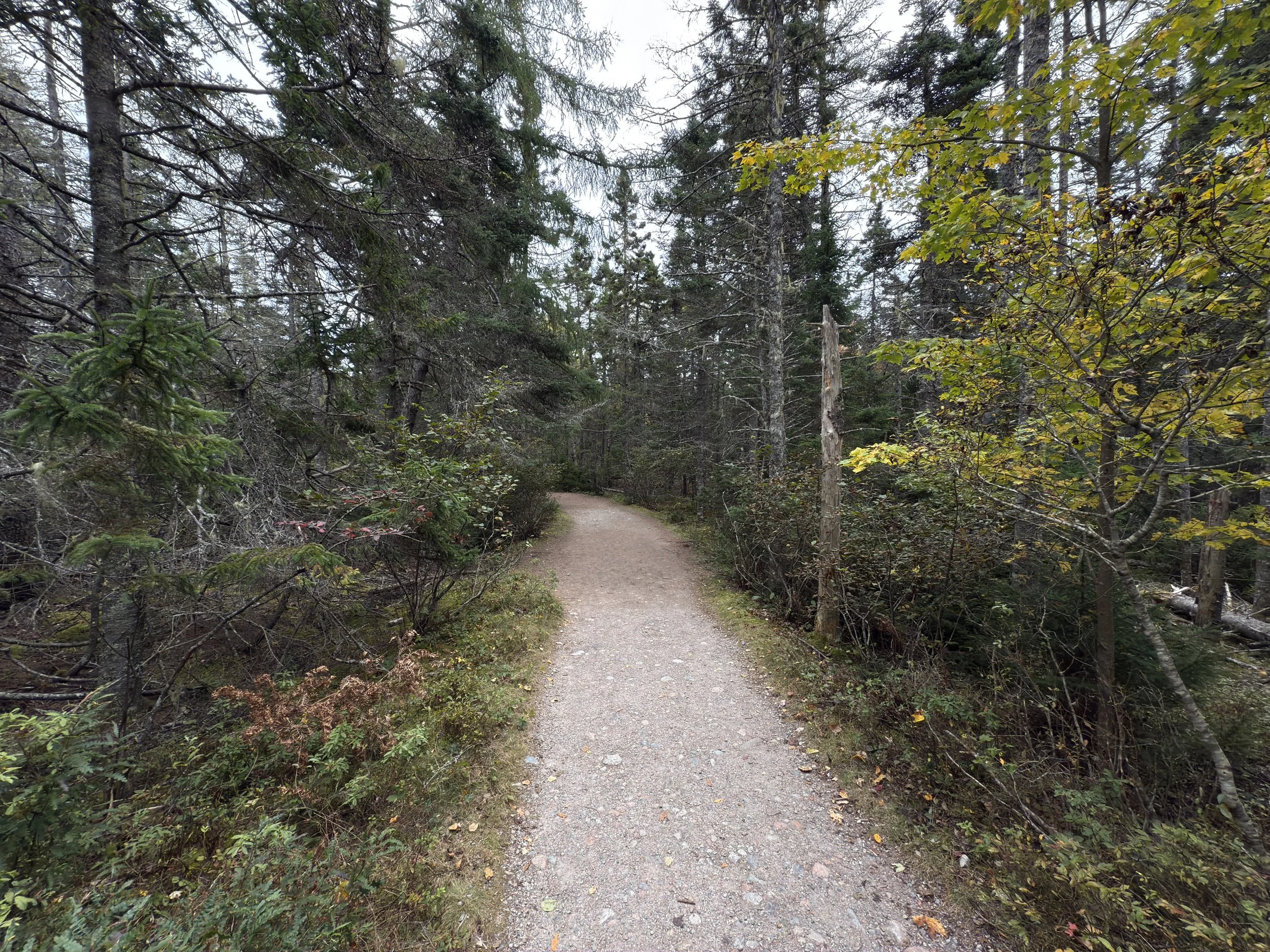 Hiking the Wonderland Trail in Acadia National Park — noahawaii
