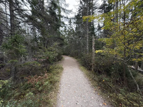 Hiking the Wonderland Trail in Acadia National Park — noahawaii