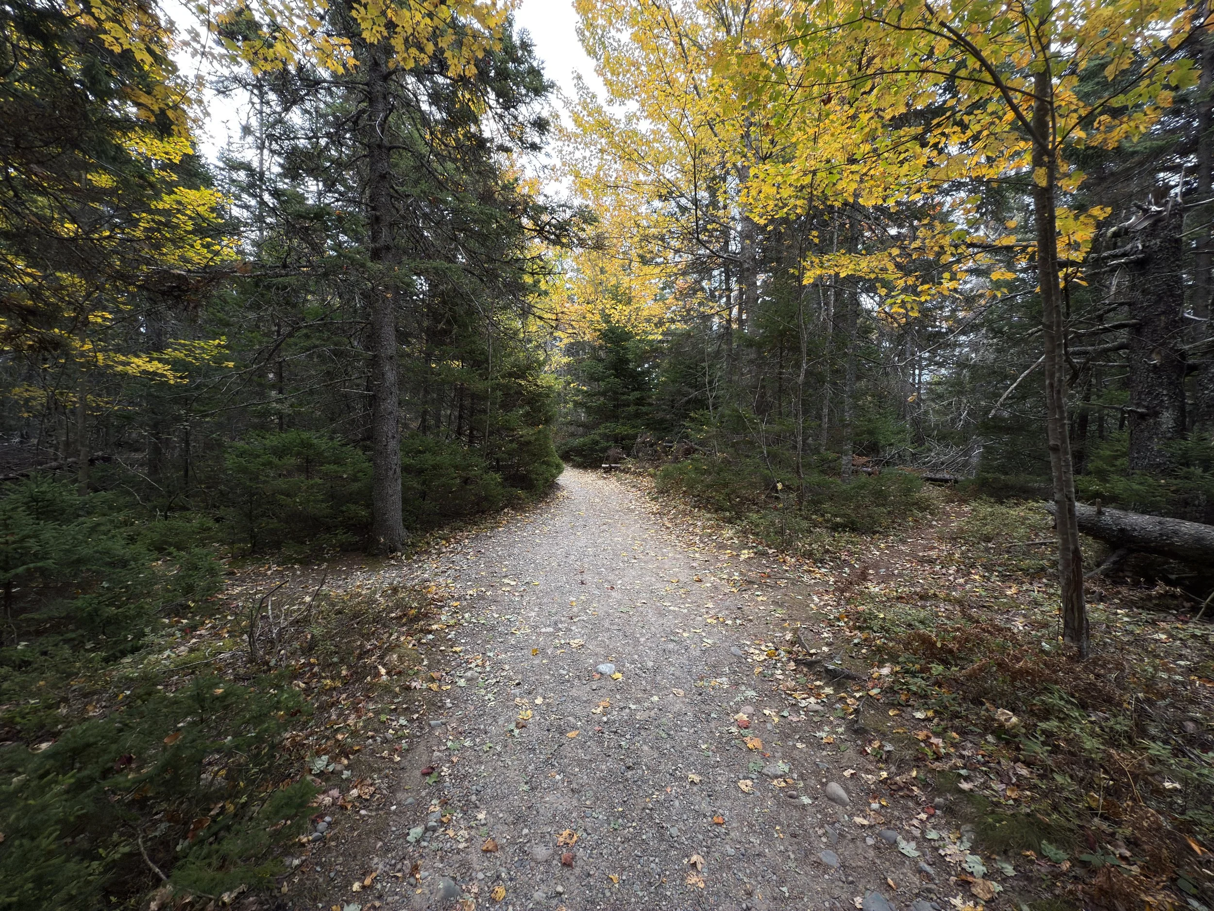 Hiking the Wonderland Trail in Acadia National Park — noahawaii