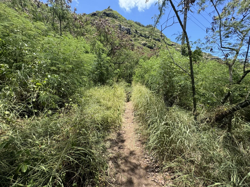 Hiking the Keālia Trail on Oʻahu's North Shore — noahawaii