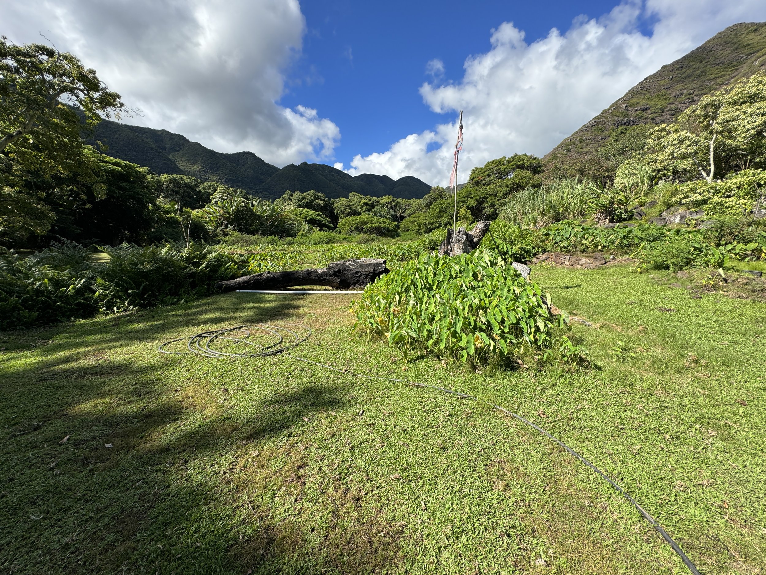 Hiking the Hālawa Valley Trail to Moaʻula & Hīpuapua Falls on Molokai ...
