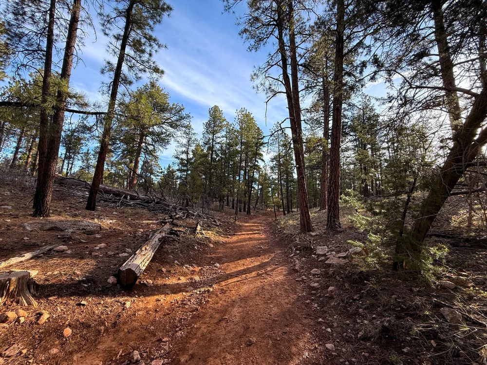 Hiking the Shoshone Point Trail in Grand Canyon National Park — noahawaii