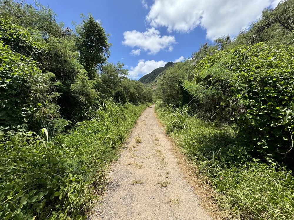 Hiking the Keālia Trail on Oʻahu's North Shore — noahawaii