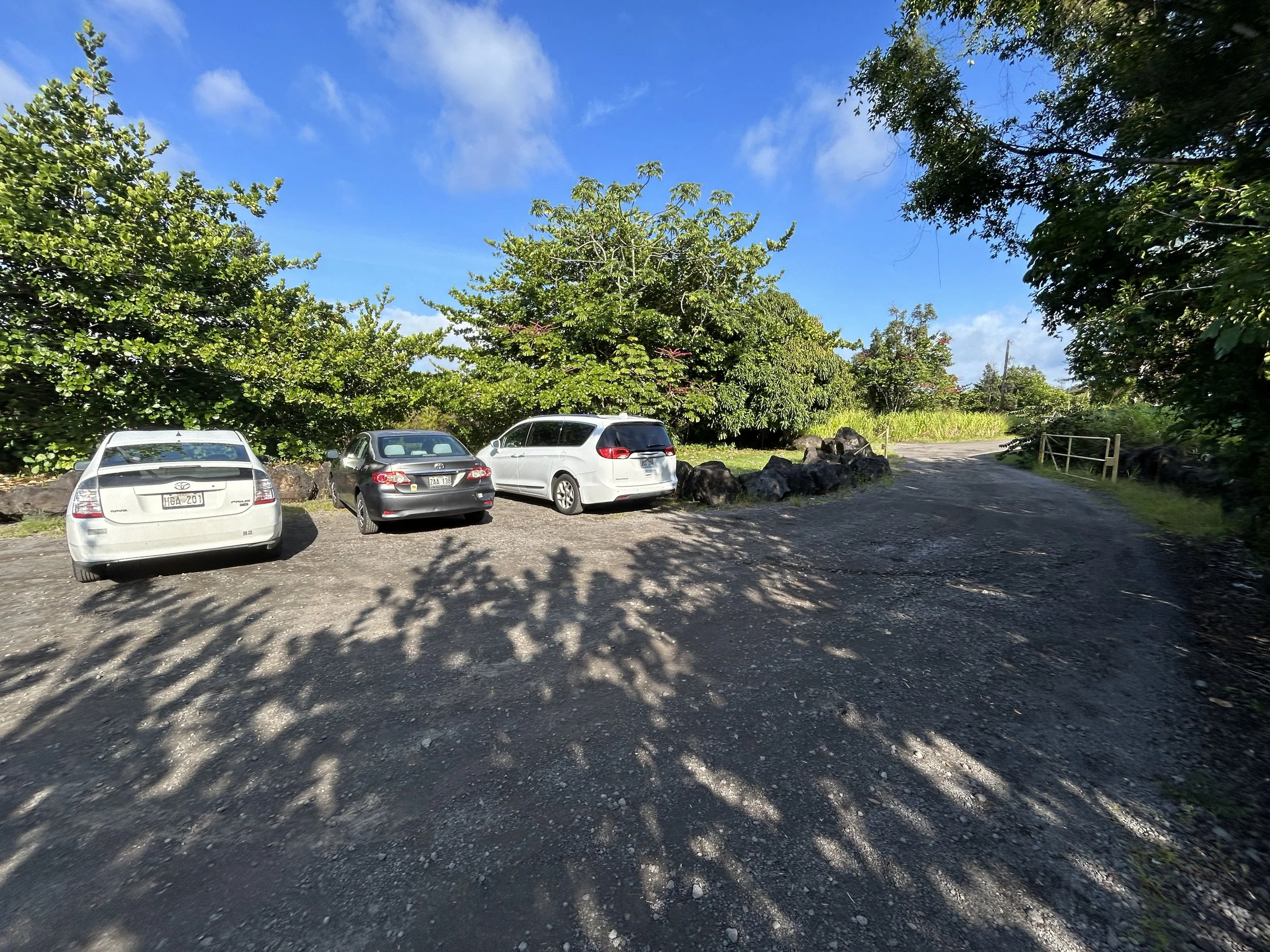 Hiking the Puna Trail to Hāʻena Beach on the Big Island of Hawaiʻi ...