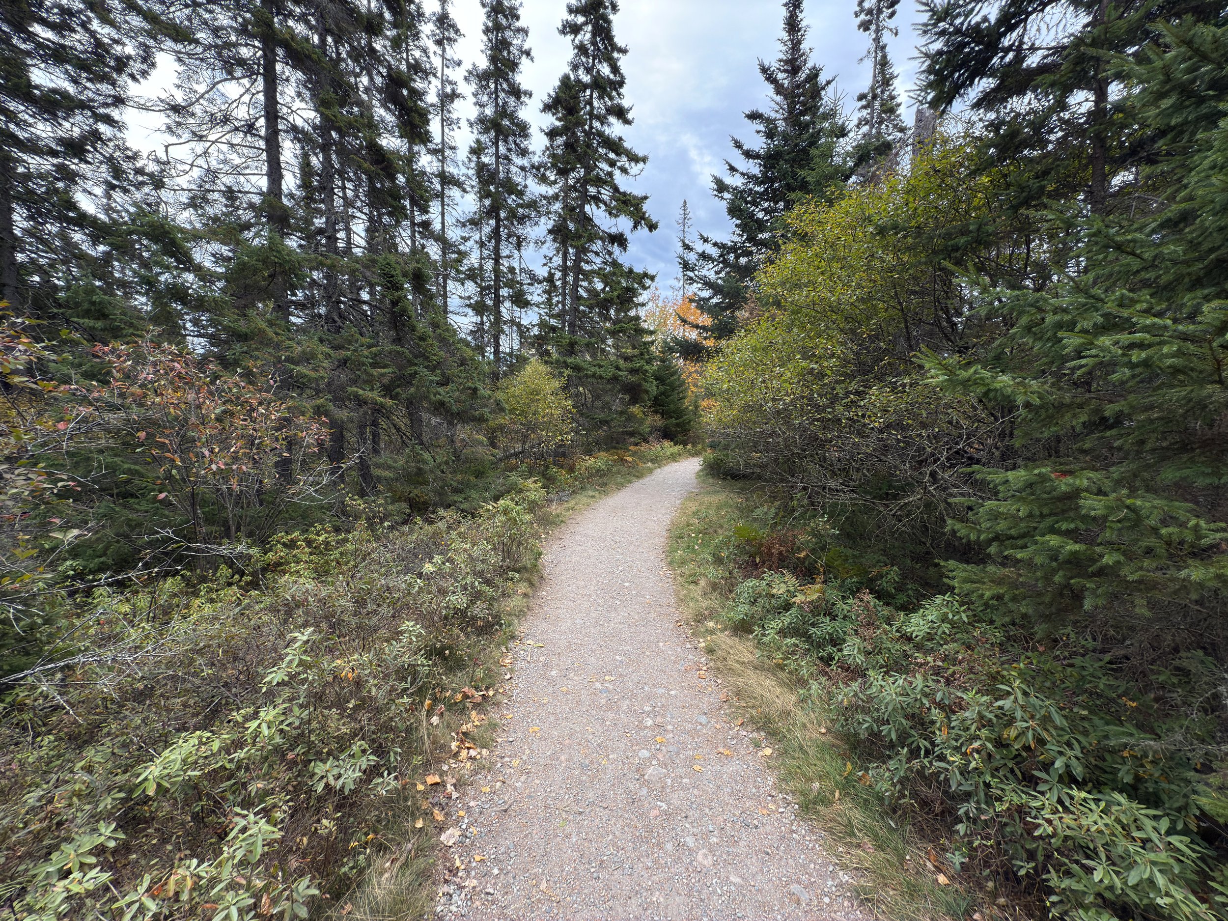 Hiking the Wonderland Trail in Acadia National Park — noahawaii