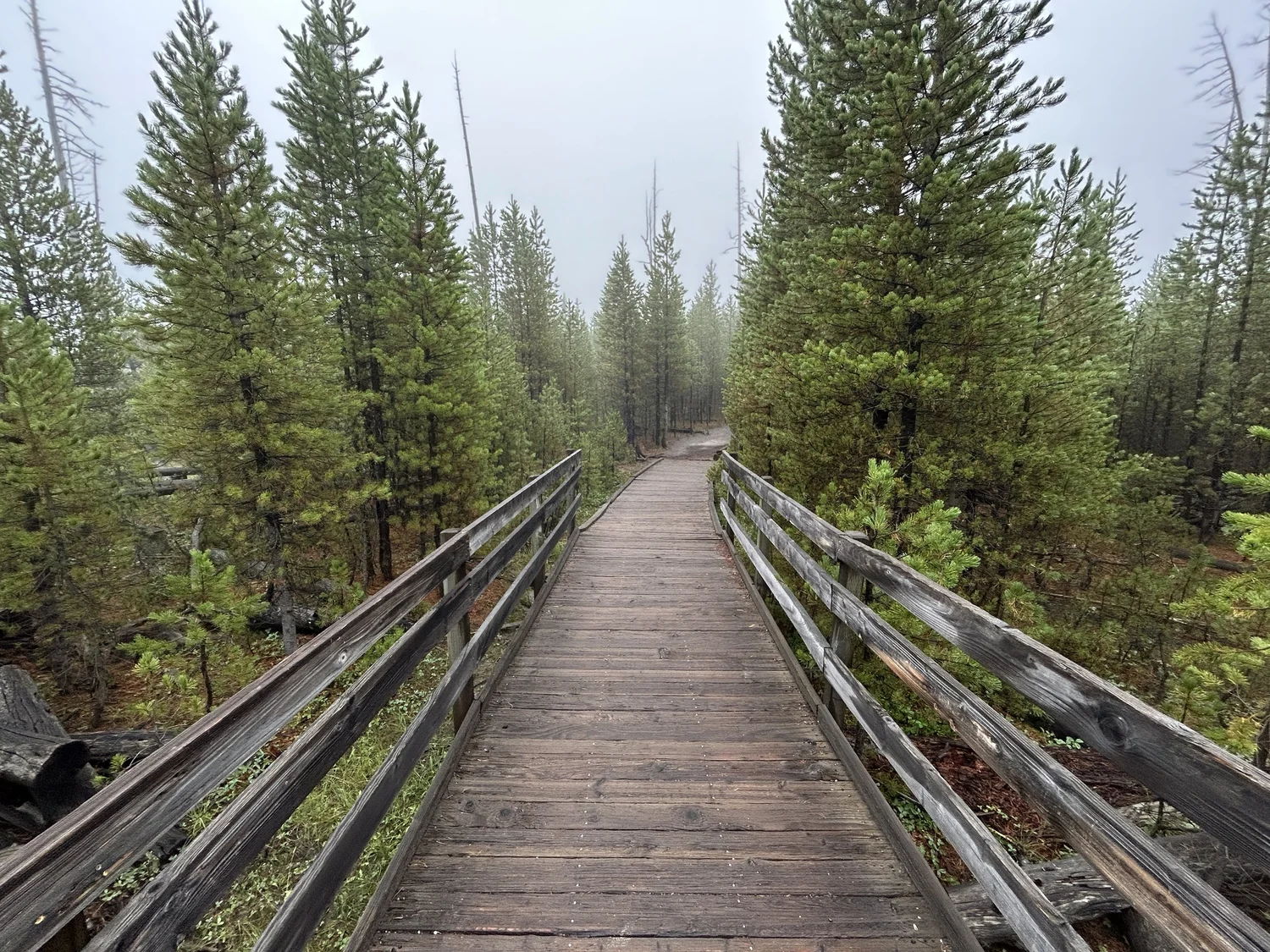 Hiking the Artists’ Paintpot Trail in Yellowstone National Park — noahawaii