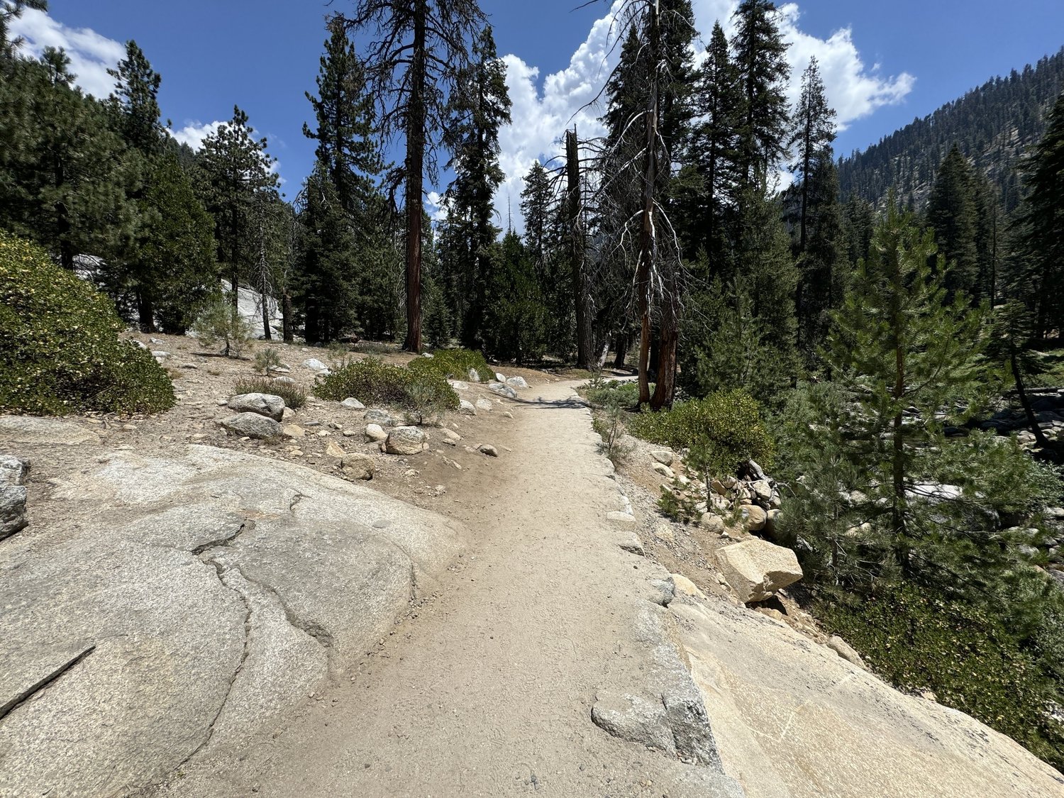 Hiking the Tokopah Falls Trail in Sequoia National Park — noahawaii