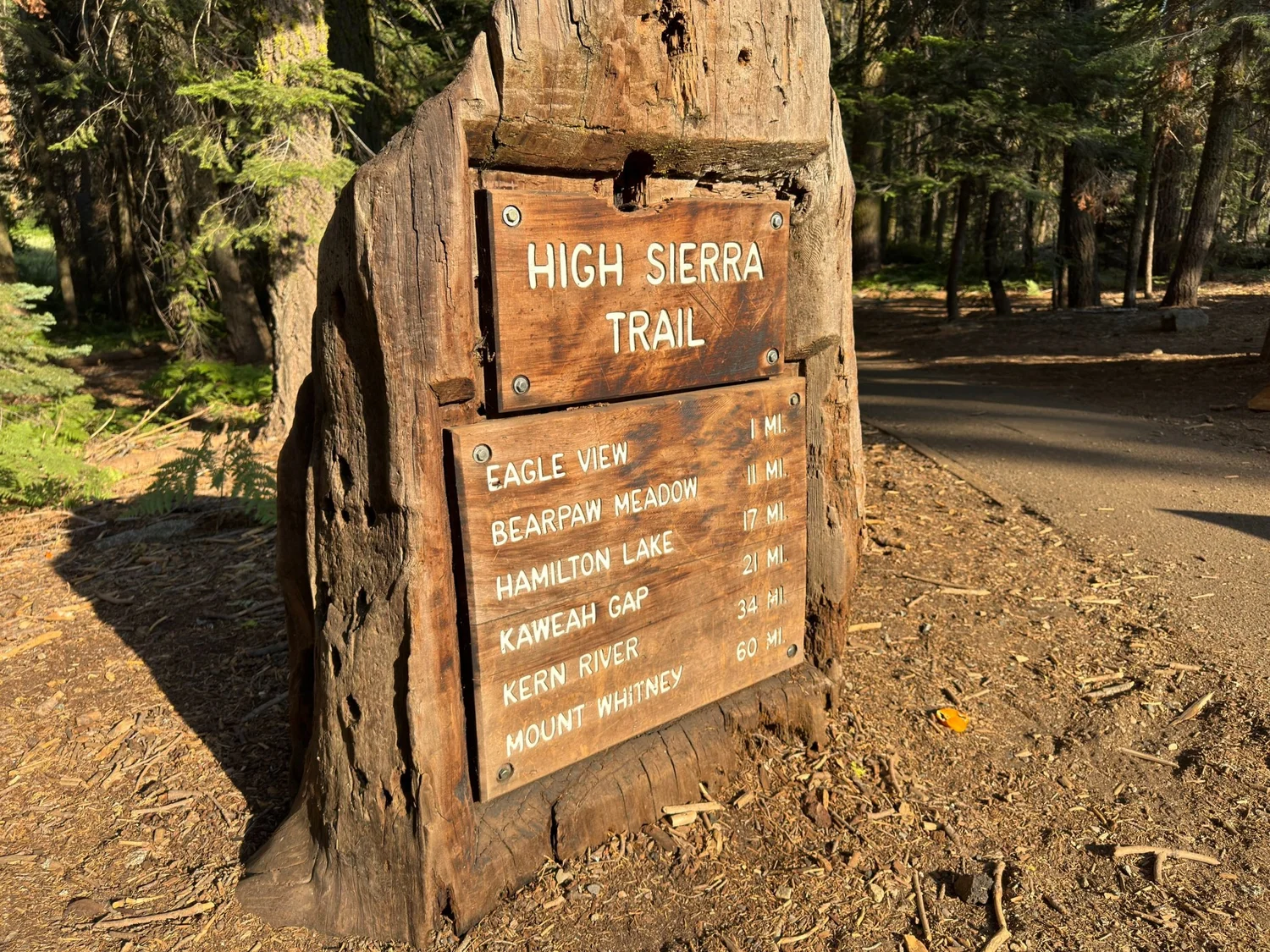 Hiking the Crescent Meadow Loop Trail in Sequoia National Park — noahawaii
