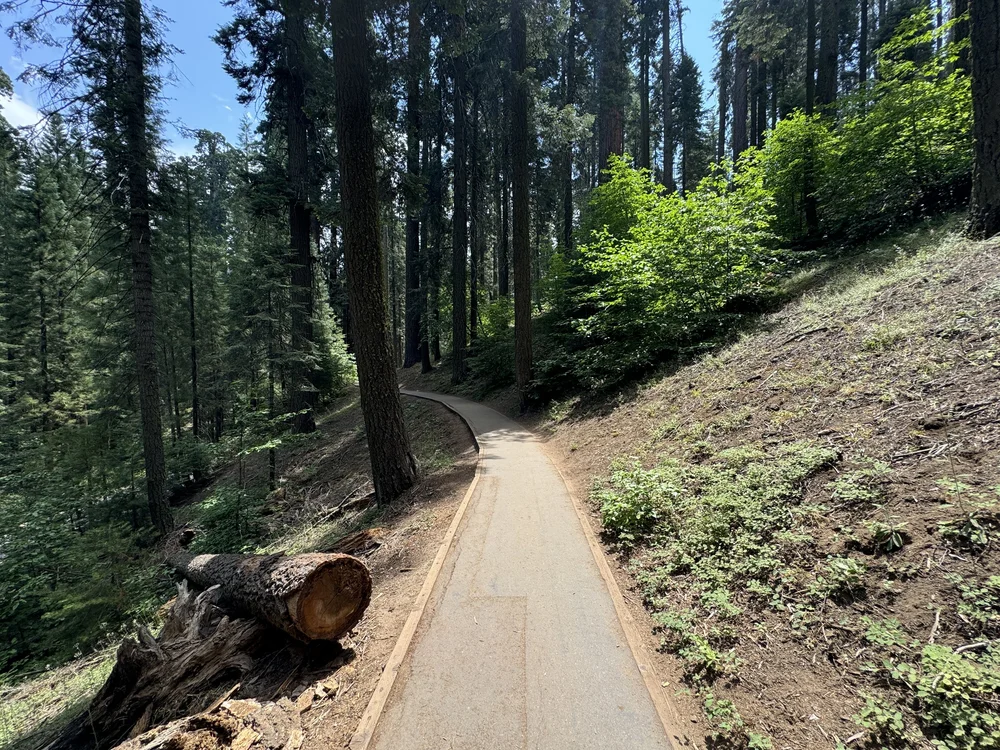 Hiking the Big Trees Trail in Sequoia National Park — noahawaii