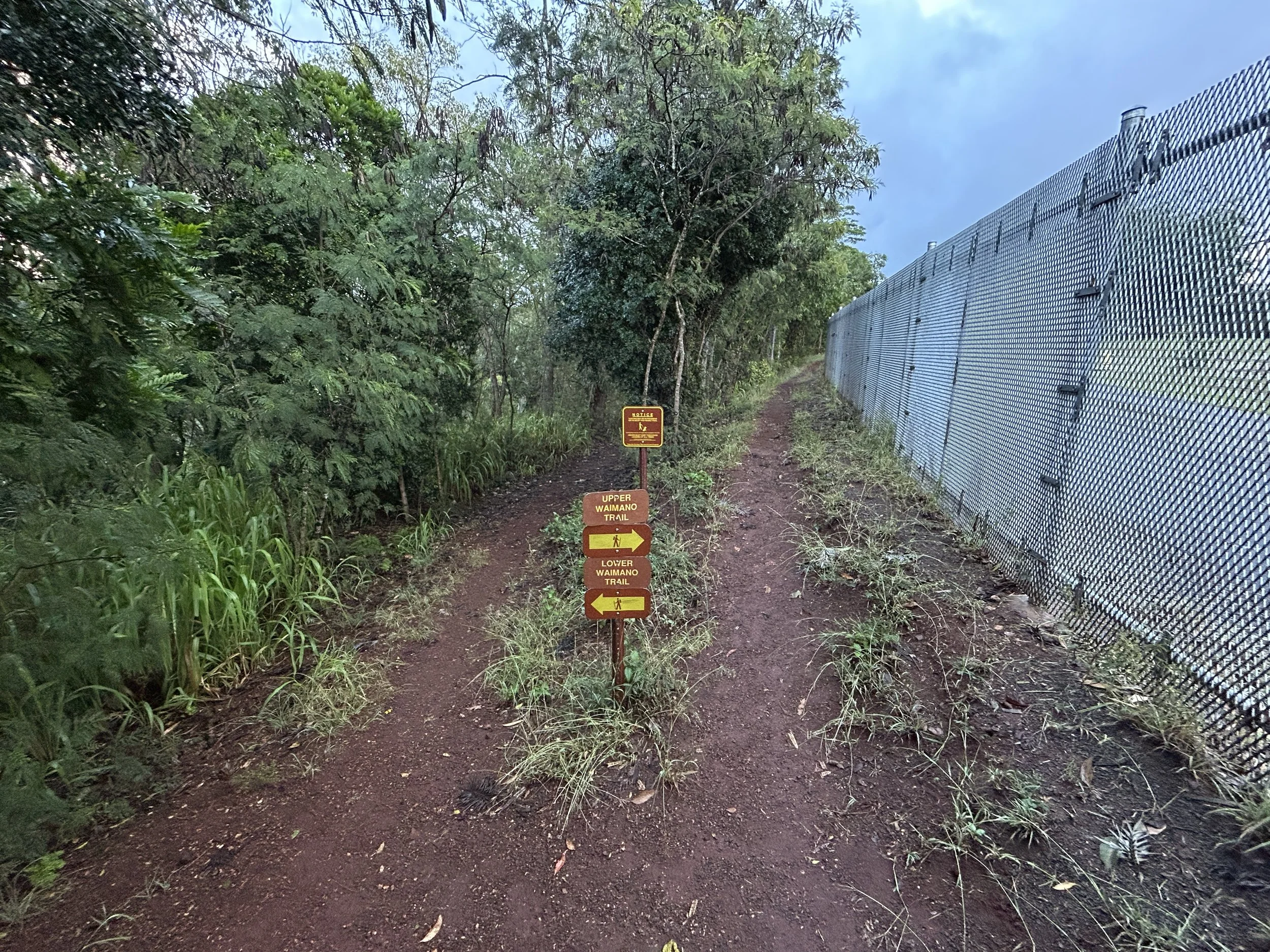Hiking the Waimano Ridge Trail on Oʻahu — noahawaii