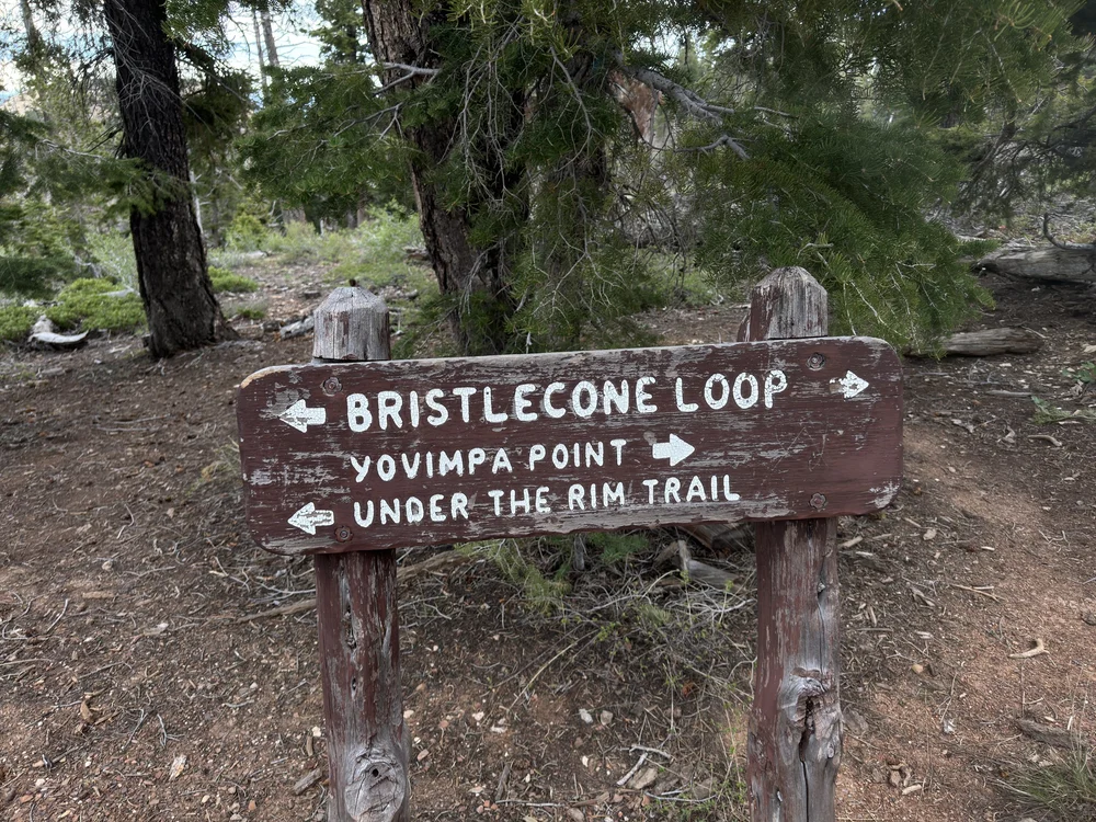 Hiking the Riggs Spring Loop Trail in Bryce Canyon National Park ...
