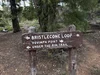 Hiking the Riggs Spring Loop Trail in Bryce Canyon National Park ...