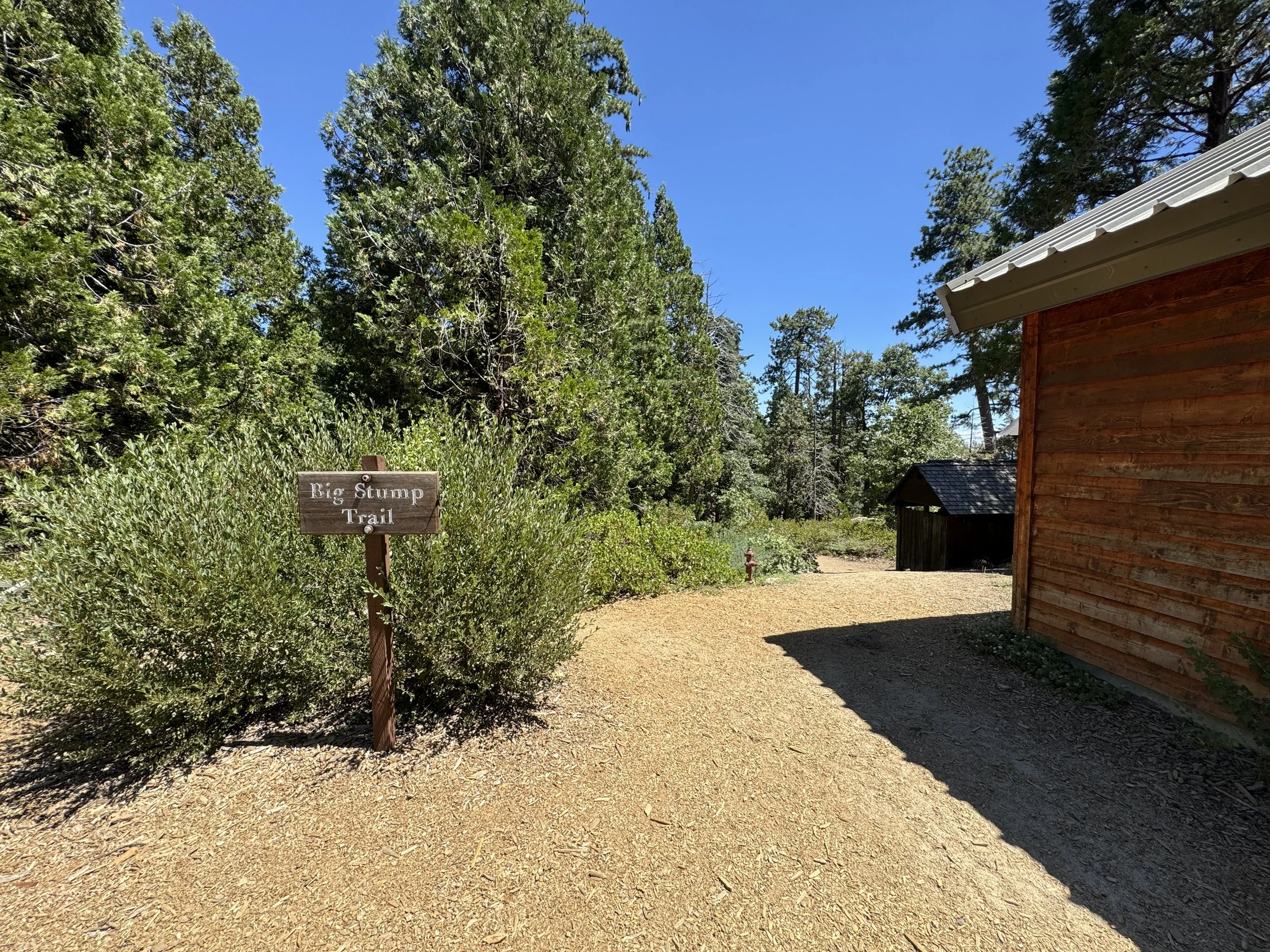 Hiking the Big Stump Loop Trail in Kings Canyon National Park — noahawaii