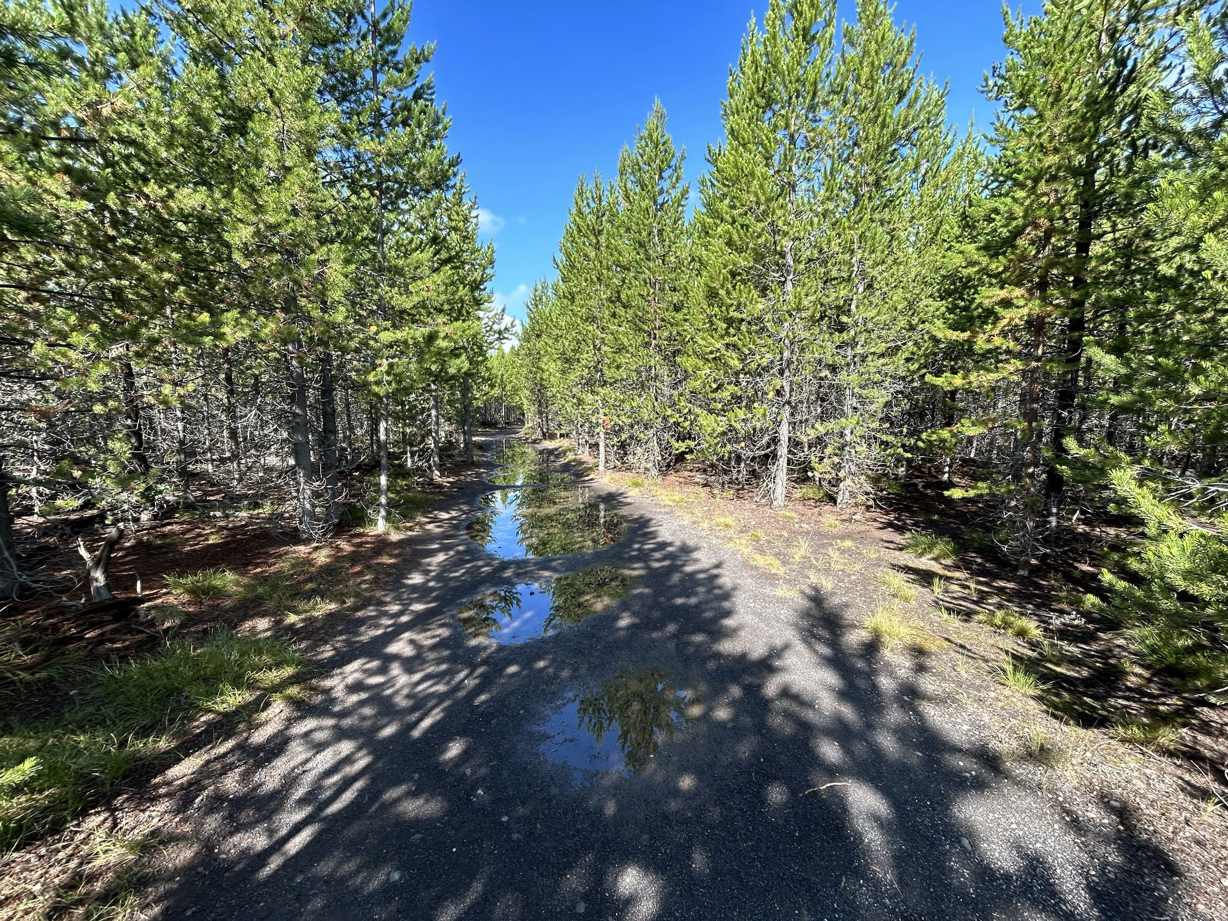 Hiking the Mystic Falls Trail (Little Firehole Loop) in Yellowstone ...