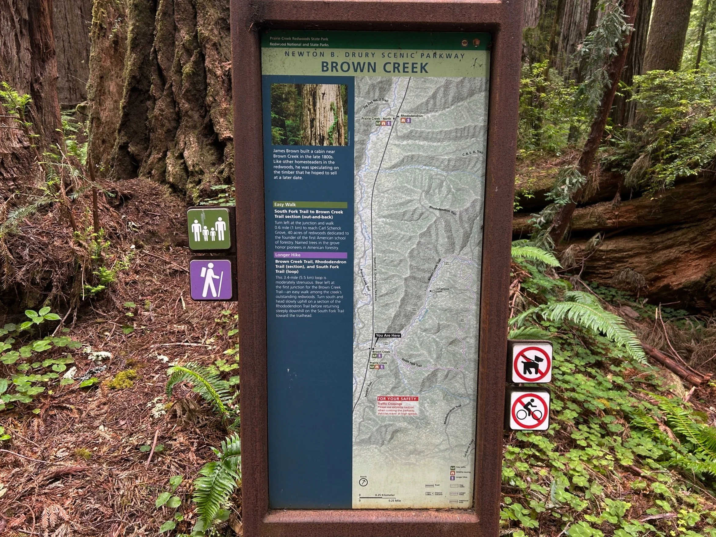 Hiking the Brown Creek-Rhododendron-West Ridge Loop Trail in Prairie ...