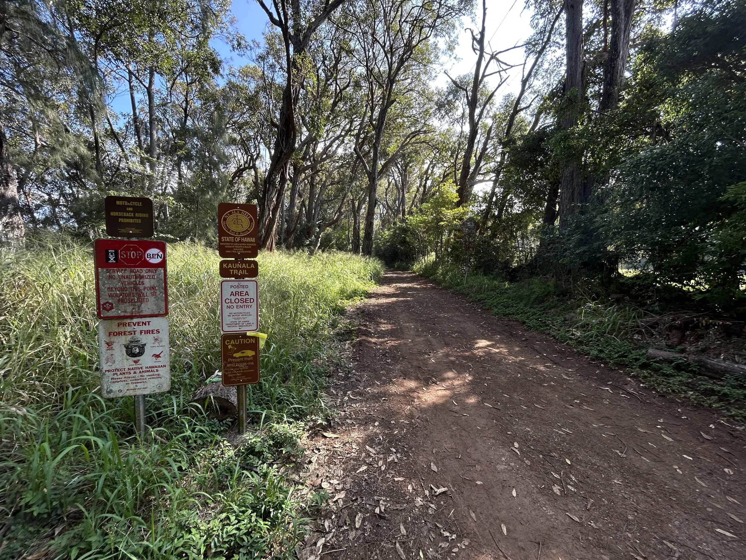 Hiking the Koʻolau Summit Trail (KST) North to South on Oʻahu, Hawaiʻi ...