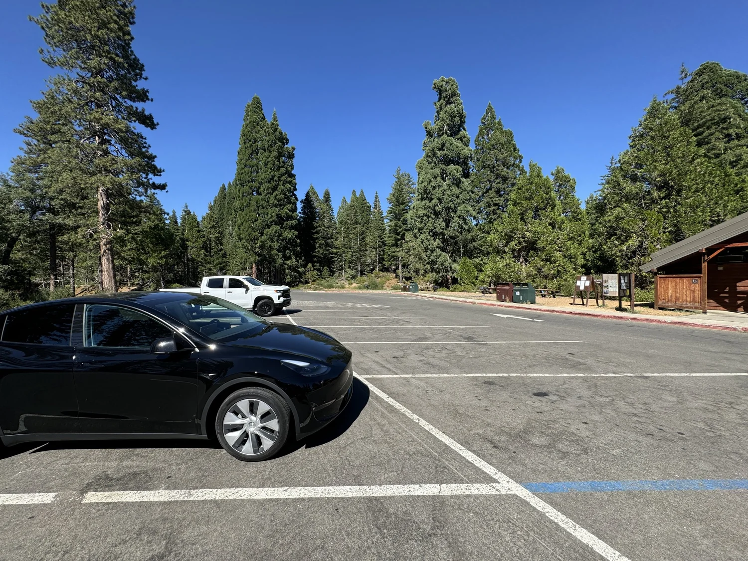 Hiking the Big Stump Loop Trail in Kings Canyon National Park — noahawaii