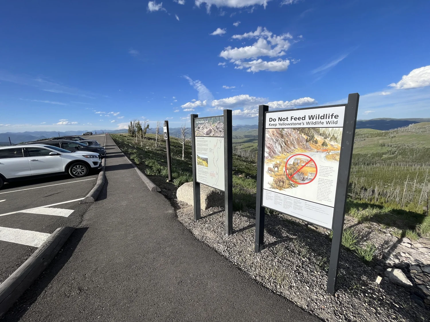 Hiking Mt. Washburn via Chittenden Road in Yellowstone National Park ...