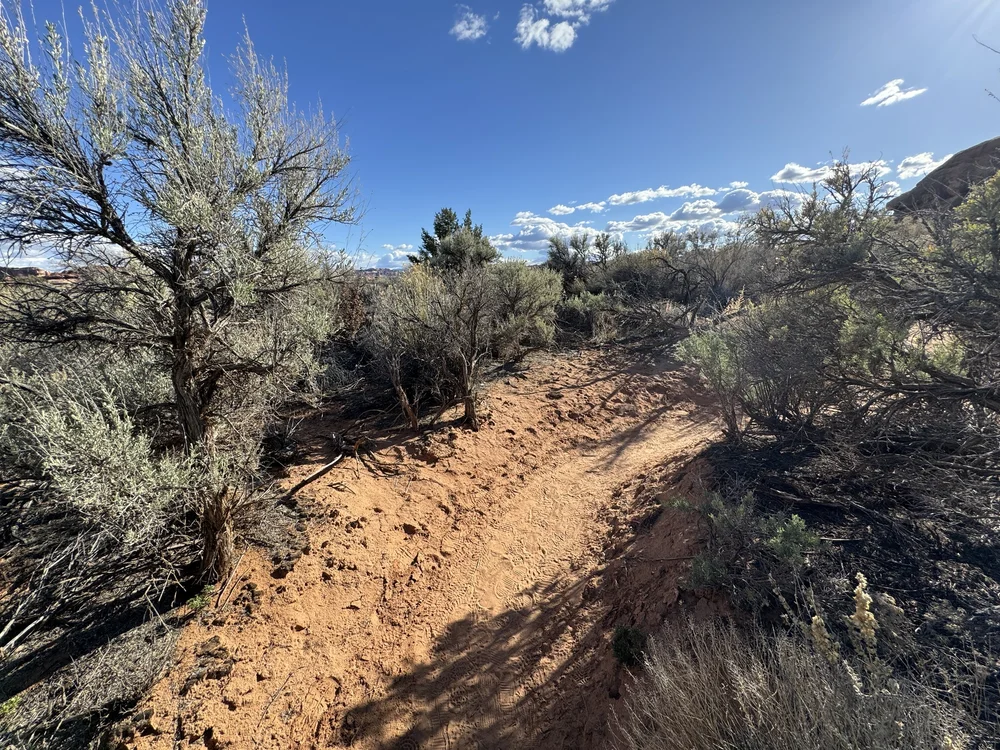 Hiking the Cave Spring Trail in Canyonlands National Park — noahawaii