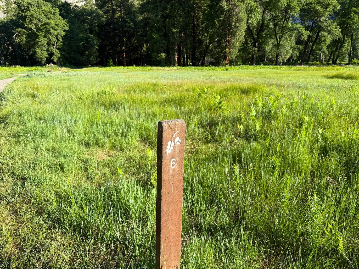 Hiking the Cook’s Meadow Loop Trail in Yosemite National Park — noahawaii