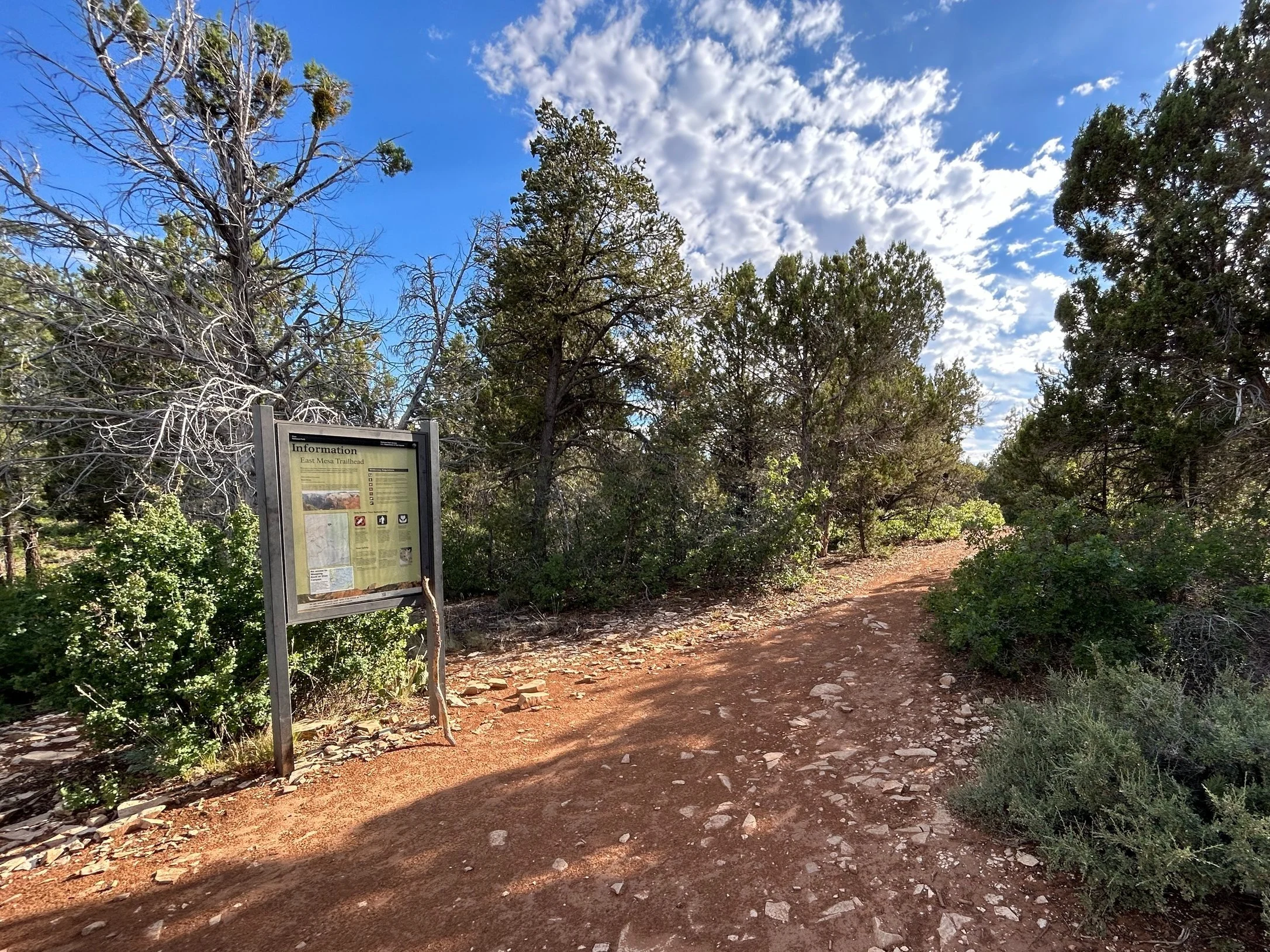 Hiking the East Mesa Trail to Observation Point in Zion National Park ...