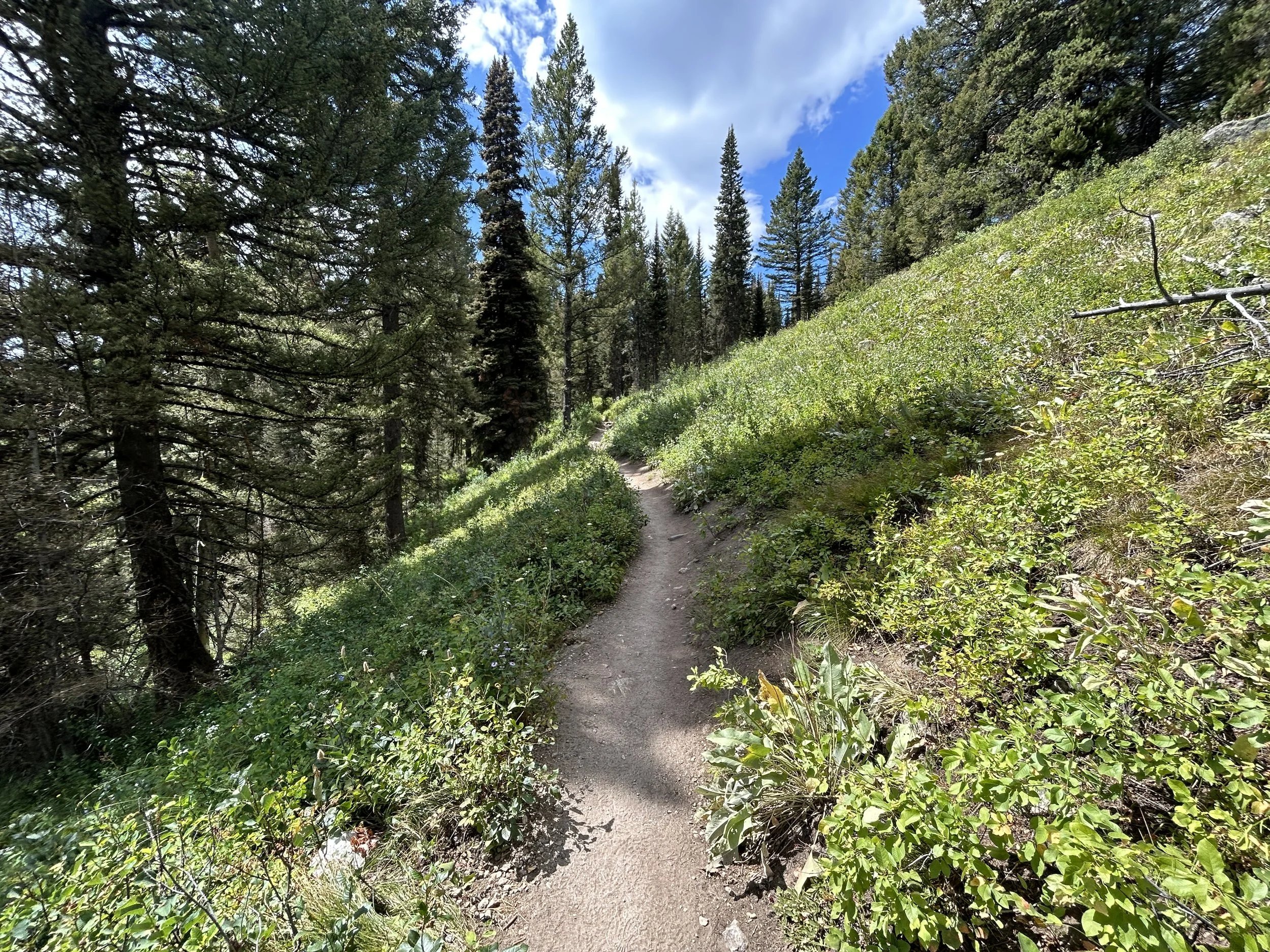Hiking the Delta Lake Trail via Lupine Meadows in Grand Teton National ...