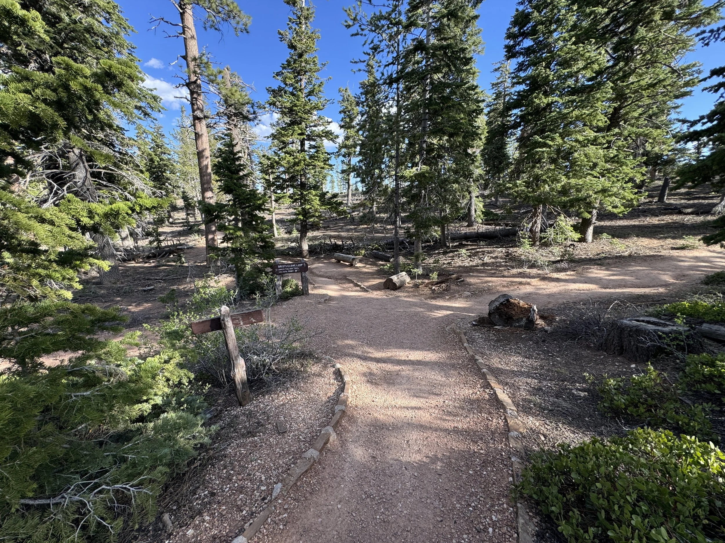 Hiking the Bristlecone Loop Trail in Bryce Canyon National Park — noahawaii