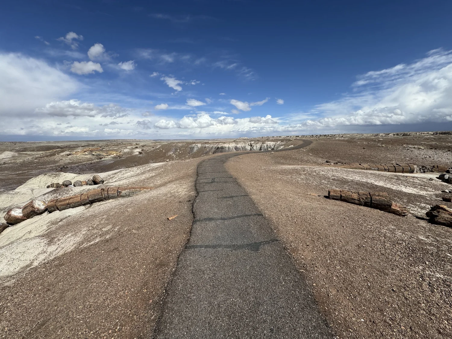 Hiking the Crystal Forest Trail in Petrified Forest National Park ...